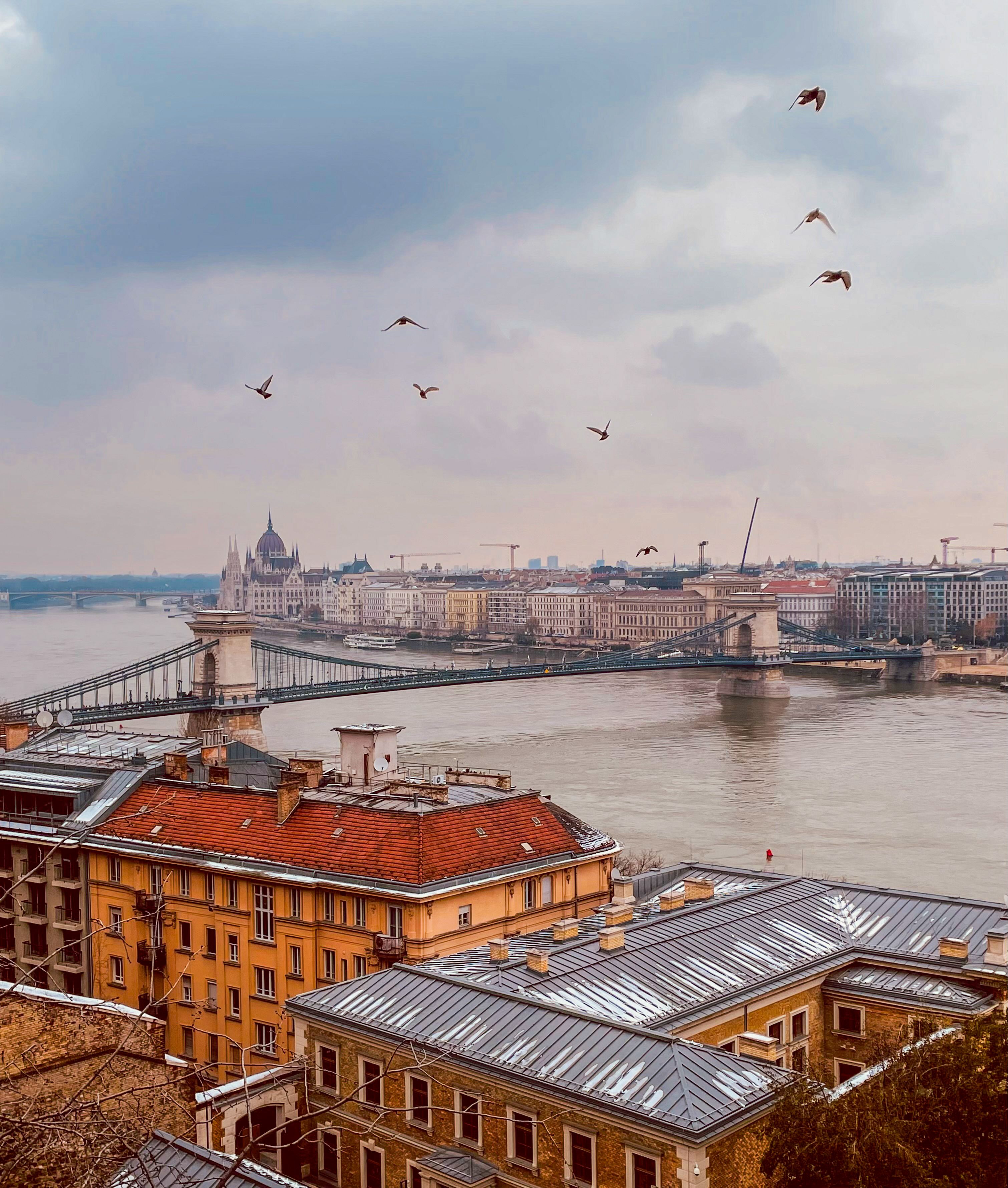 Scenic View of Budapest with Chain Bridge and Danube River · Free Stock ...