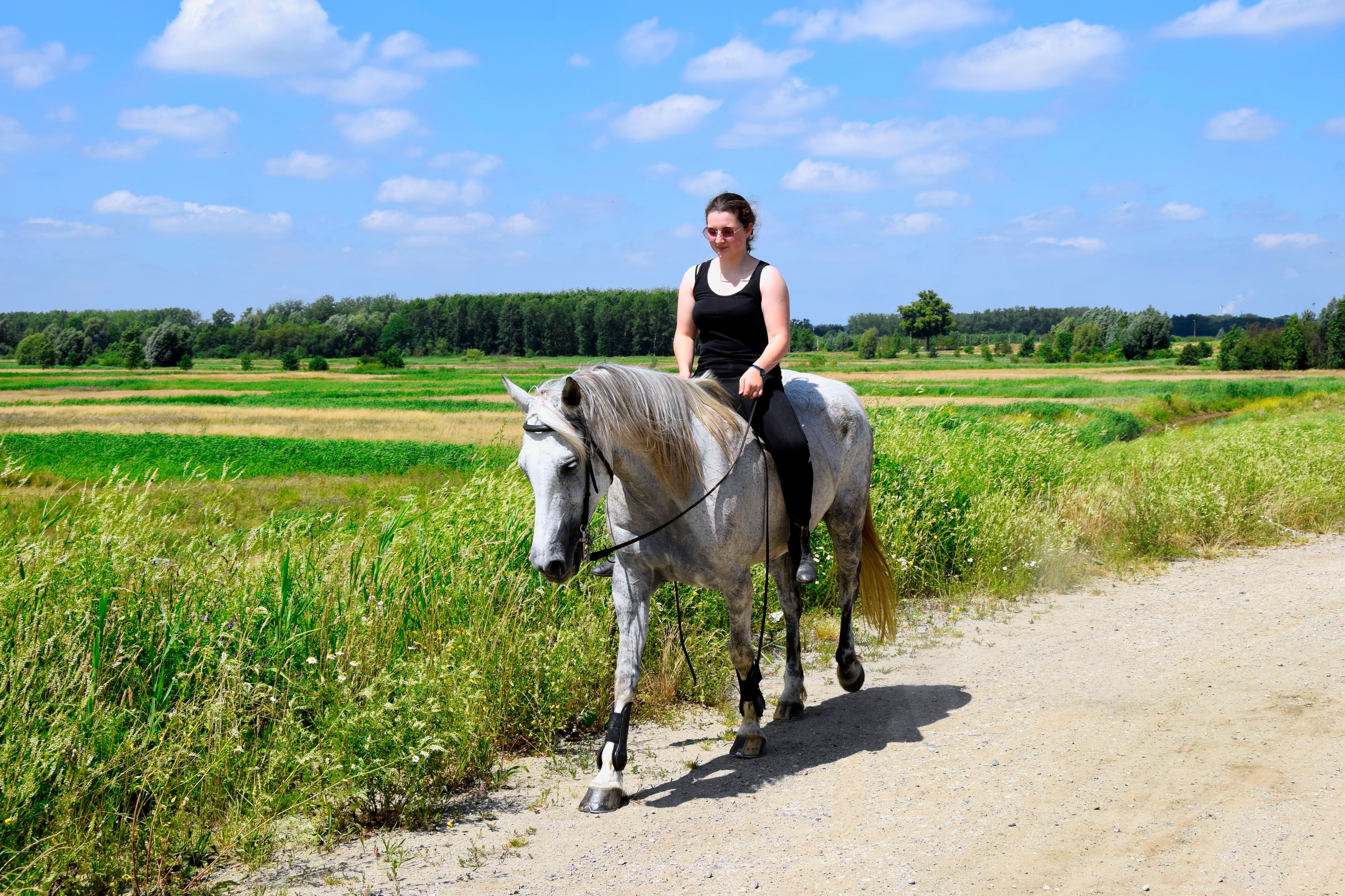 1.000+ Bandera++flandes Bilder und Fotos · Kostenlos Downloaden ...