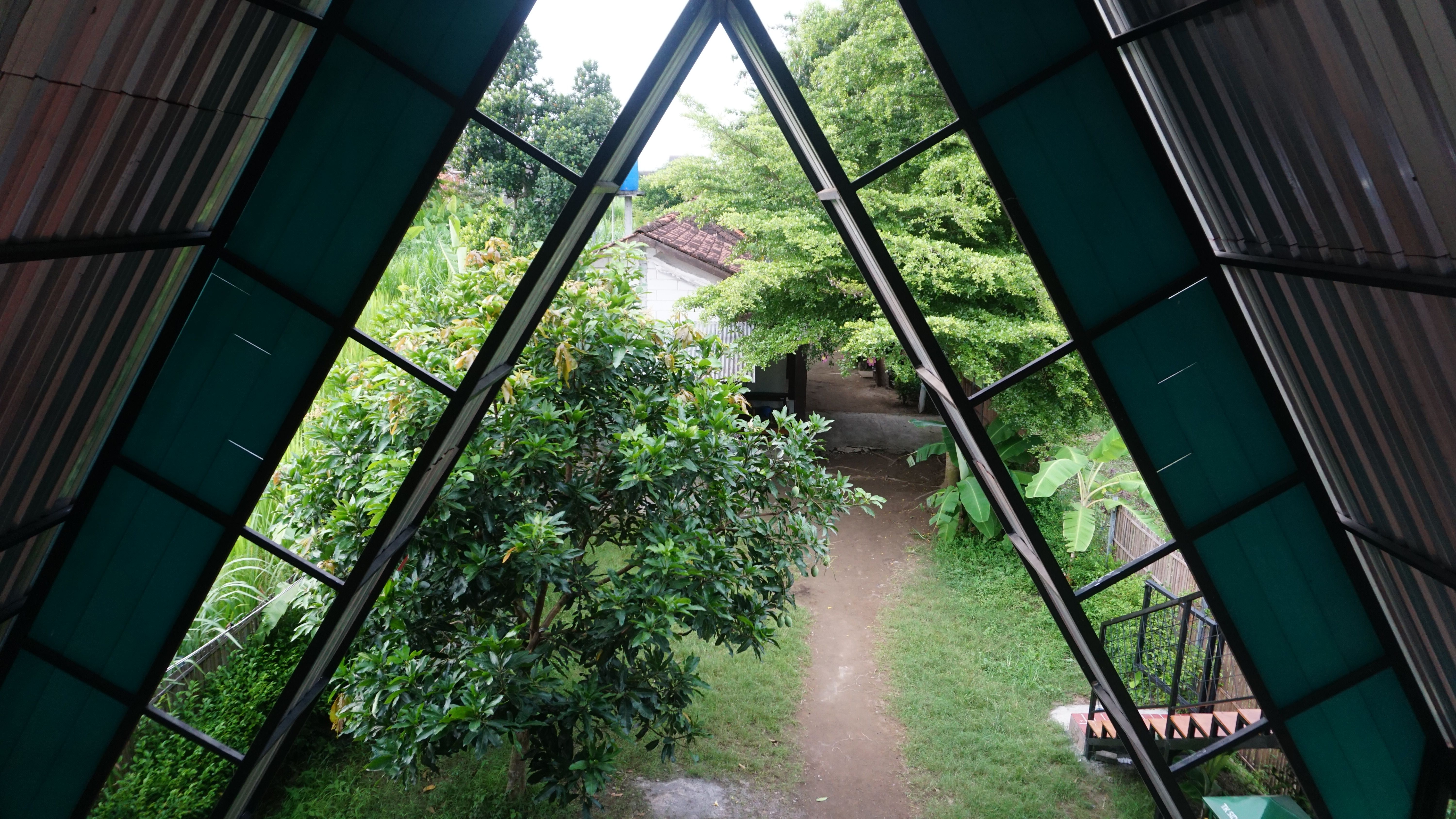 View of Lush Backyard from Triangle Roof · Free Stock Photo