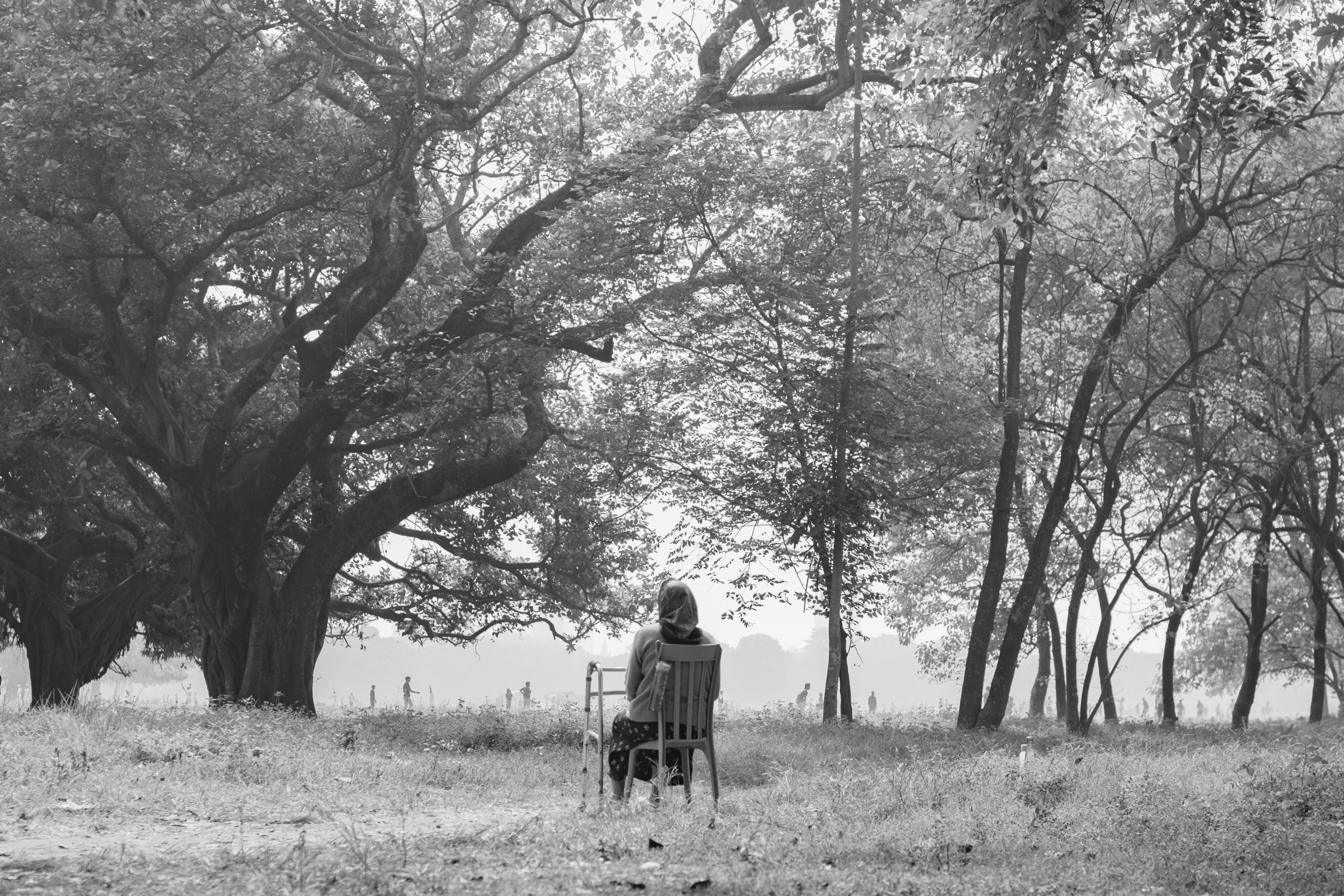 Bosque Limpio Photos, Download The BEST Free Bosque Limpio Stock Photos ...