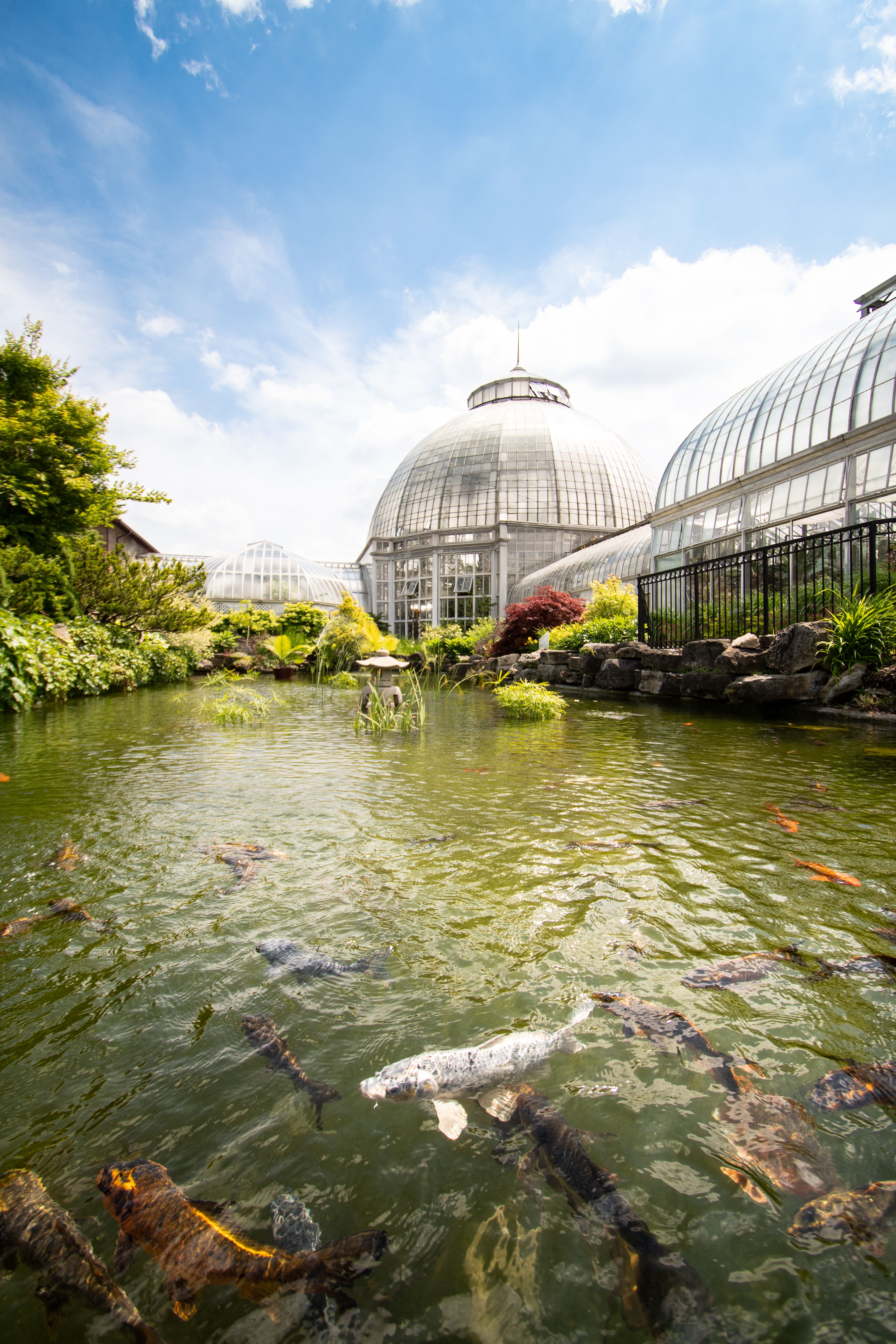 Scenic View of Belle Isle Conservatory and Koi Pond · Free Stock Photo