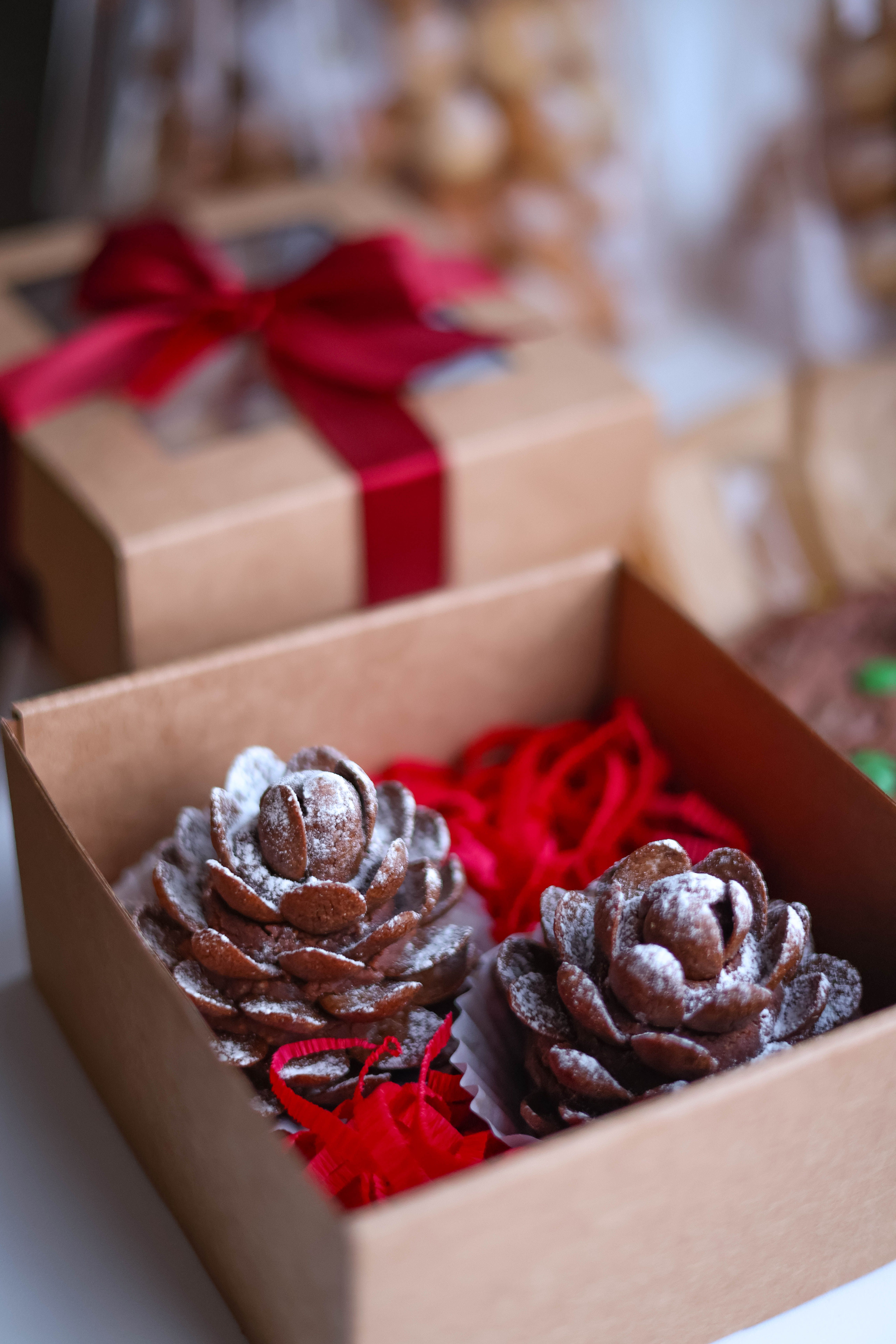 Festive Gift Box with Chocolate Pine Cones · Free Stock Photo