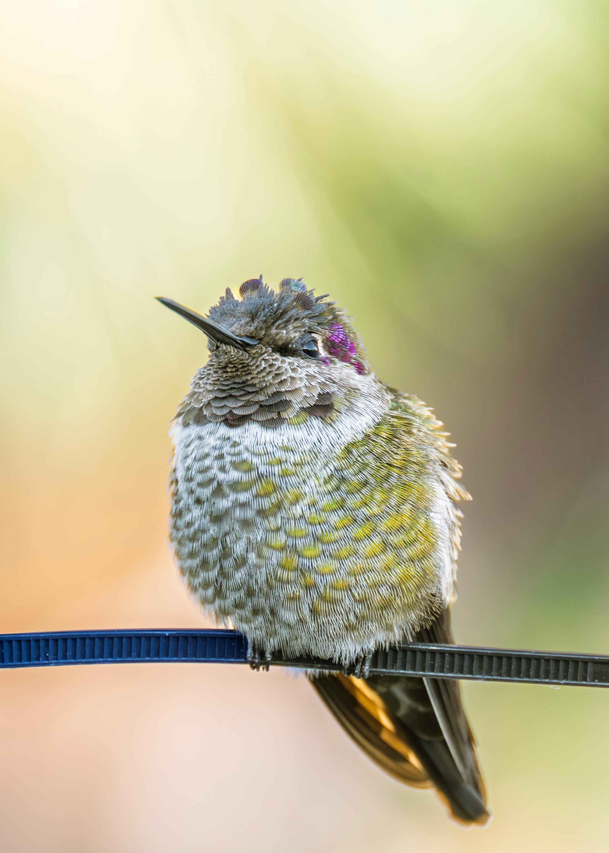 483+ Fotos y Imágenes de Vladmodels+anna+y176 Gratis · Banco de Fotos ...