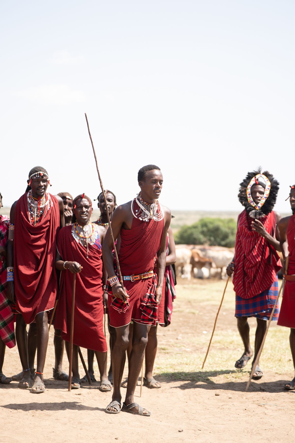 African Tribe Naked Men Photos Download The Best Free African Tribe