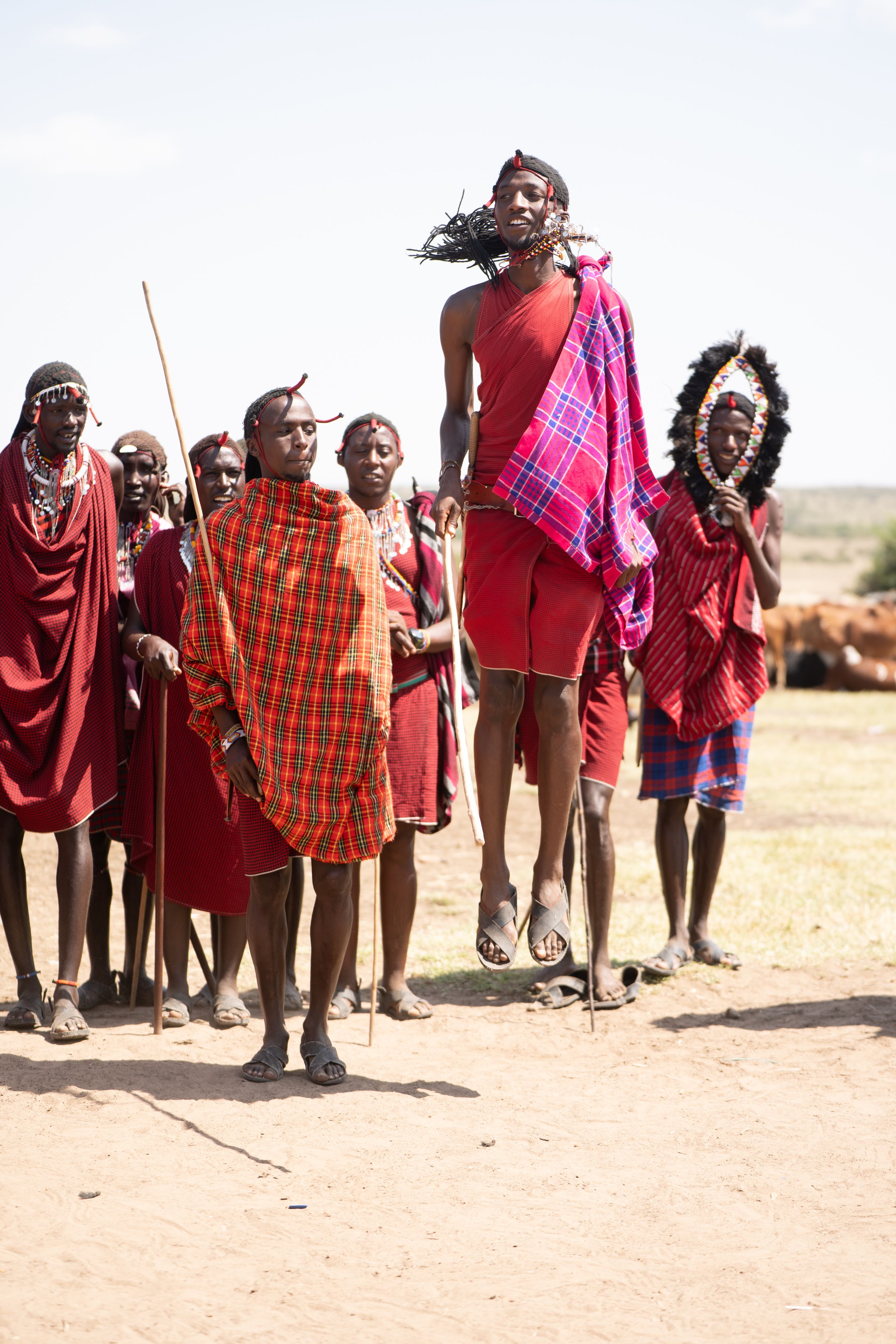 Traditional Maasai Jumping Dance in Kenya · Free Stock Photo