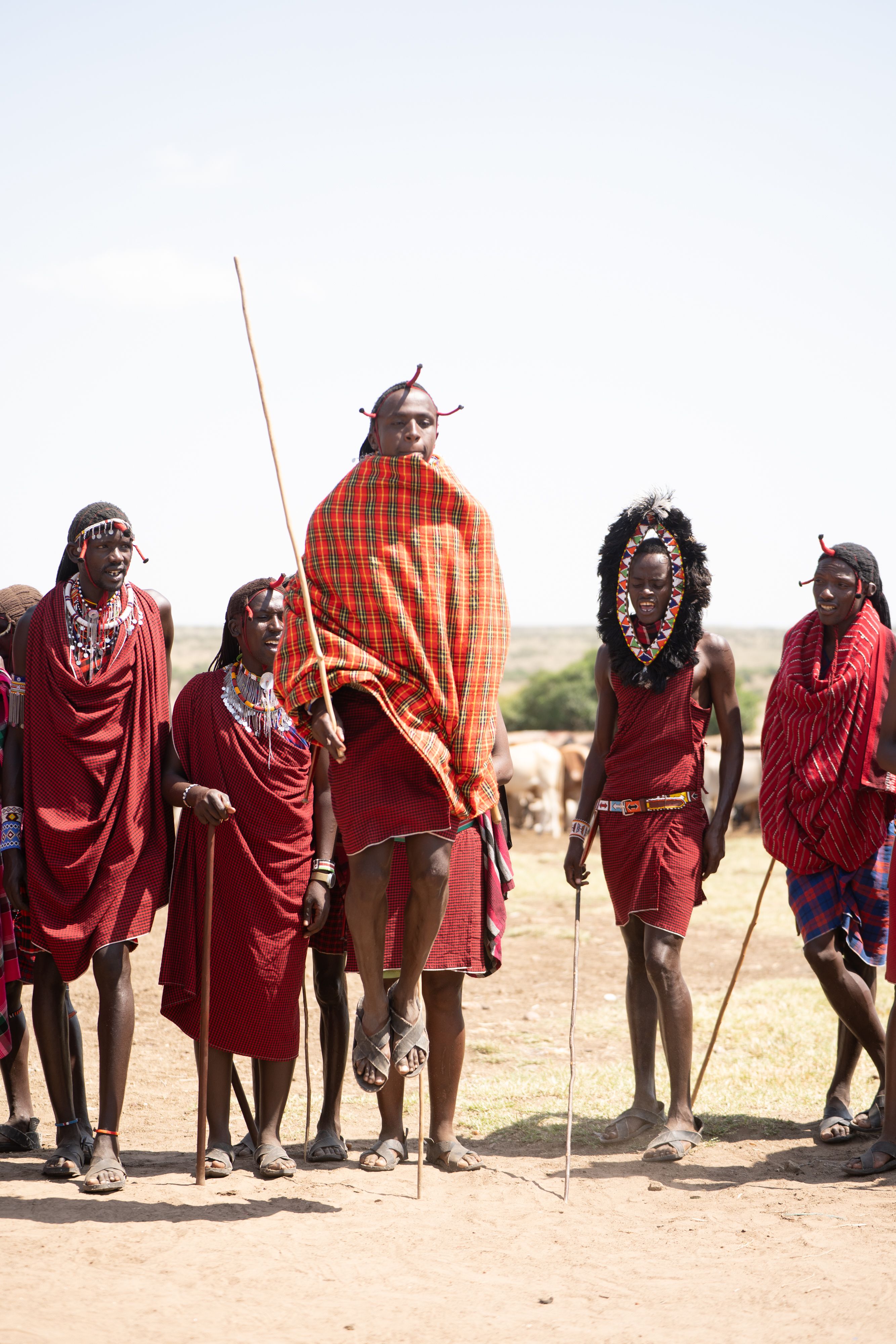 Traditional Maasai Jumping Dance in Kenya · Free Stock Photo