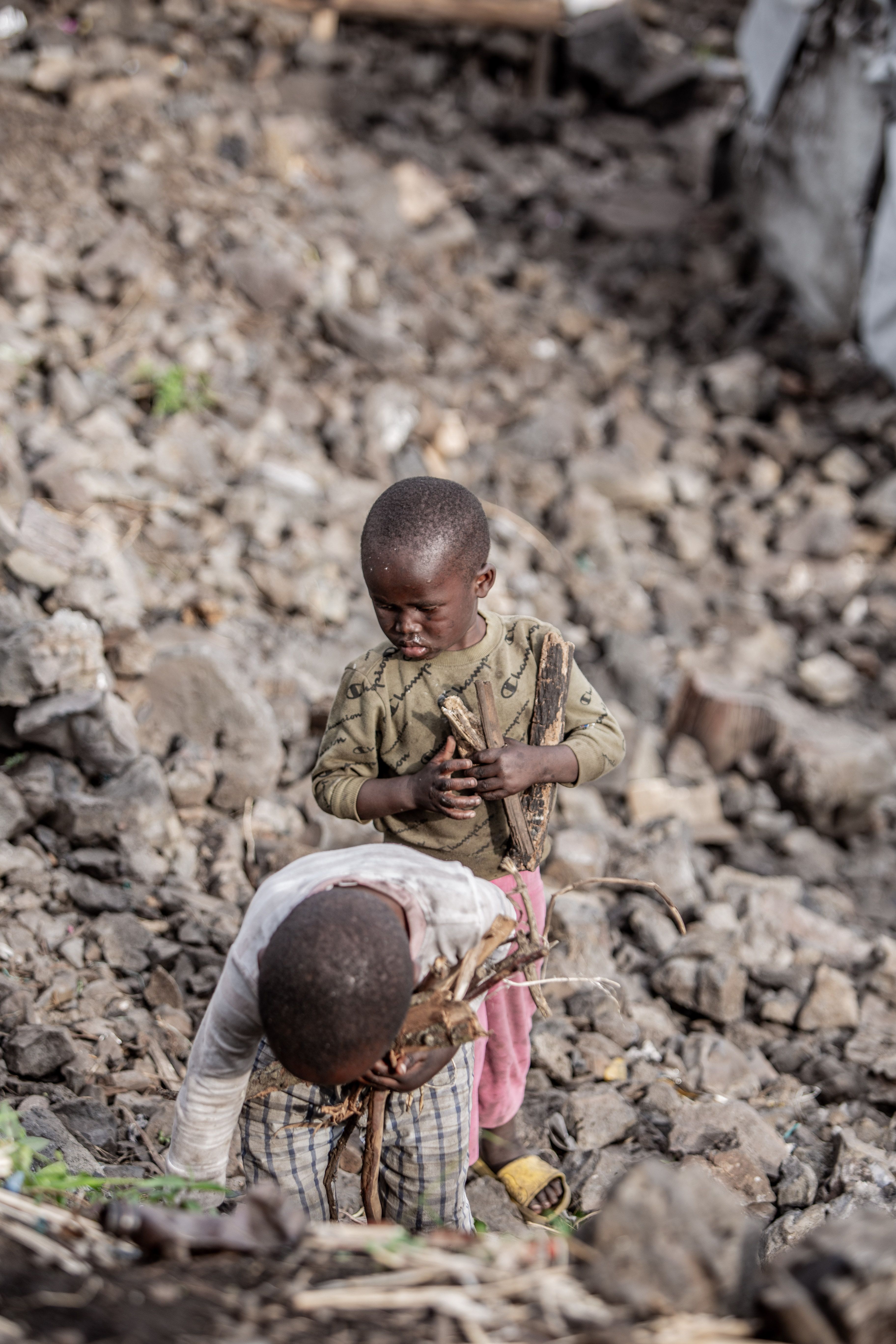 Children Gathering Firewood on Rocky Terrain · Free Stock Photo