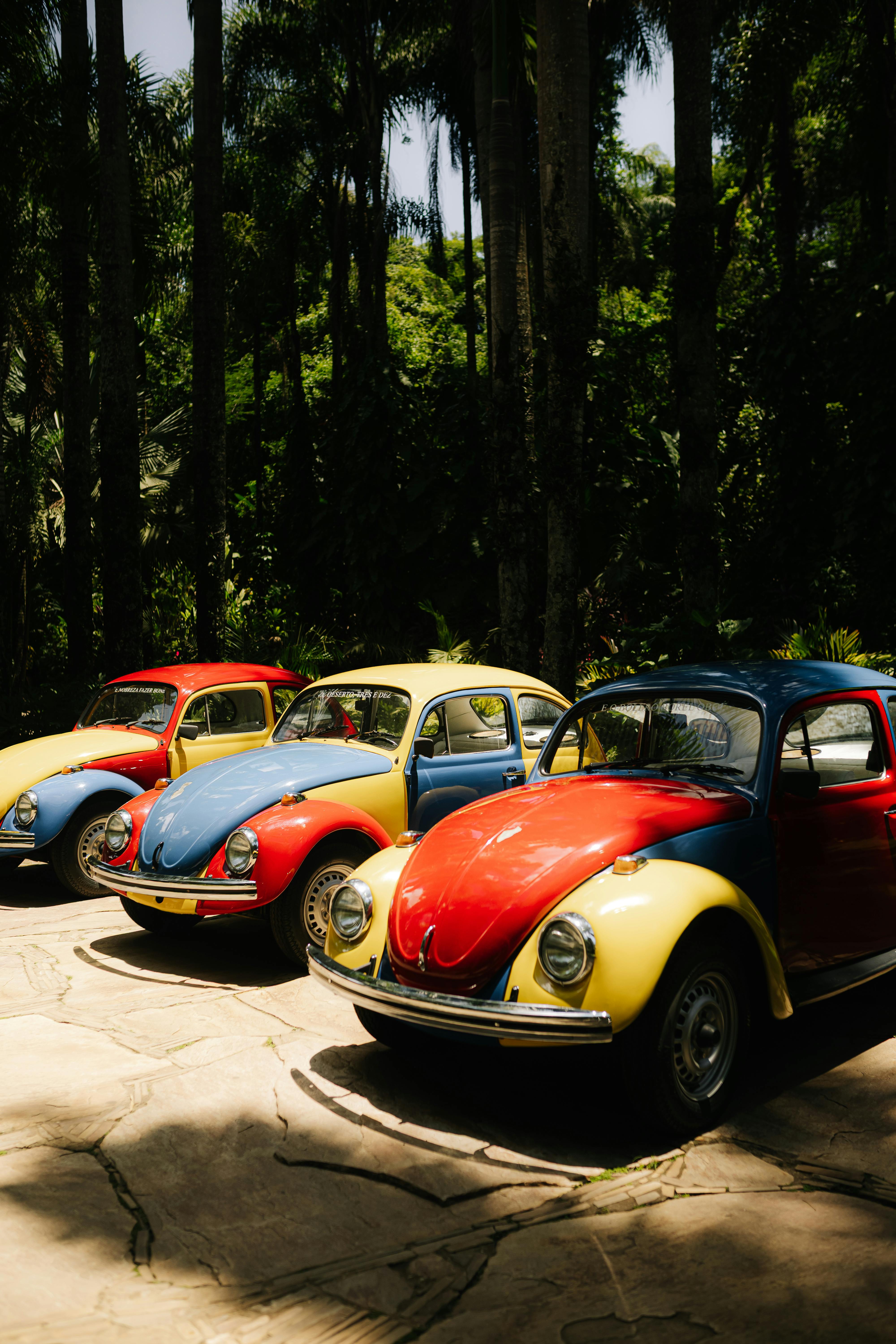 Photo of Five Cars Parked · Free Stock Photo
