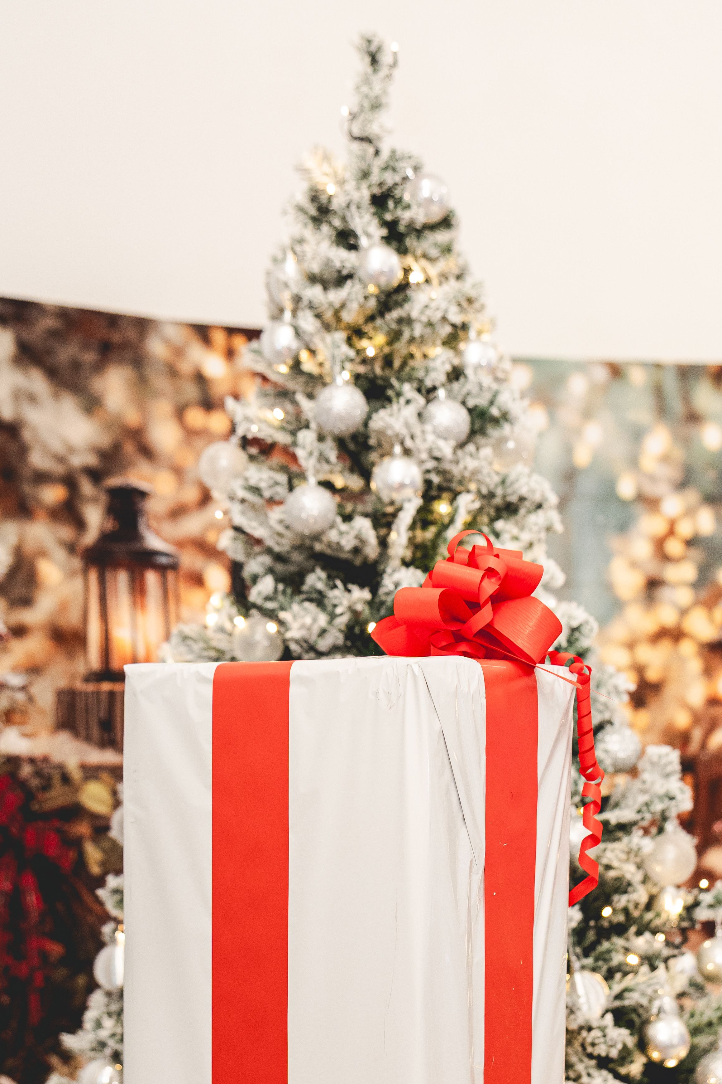 Festive Christmas Present Near Decorated Tree · Free Stock Photo