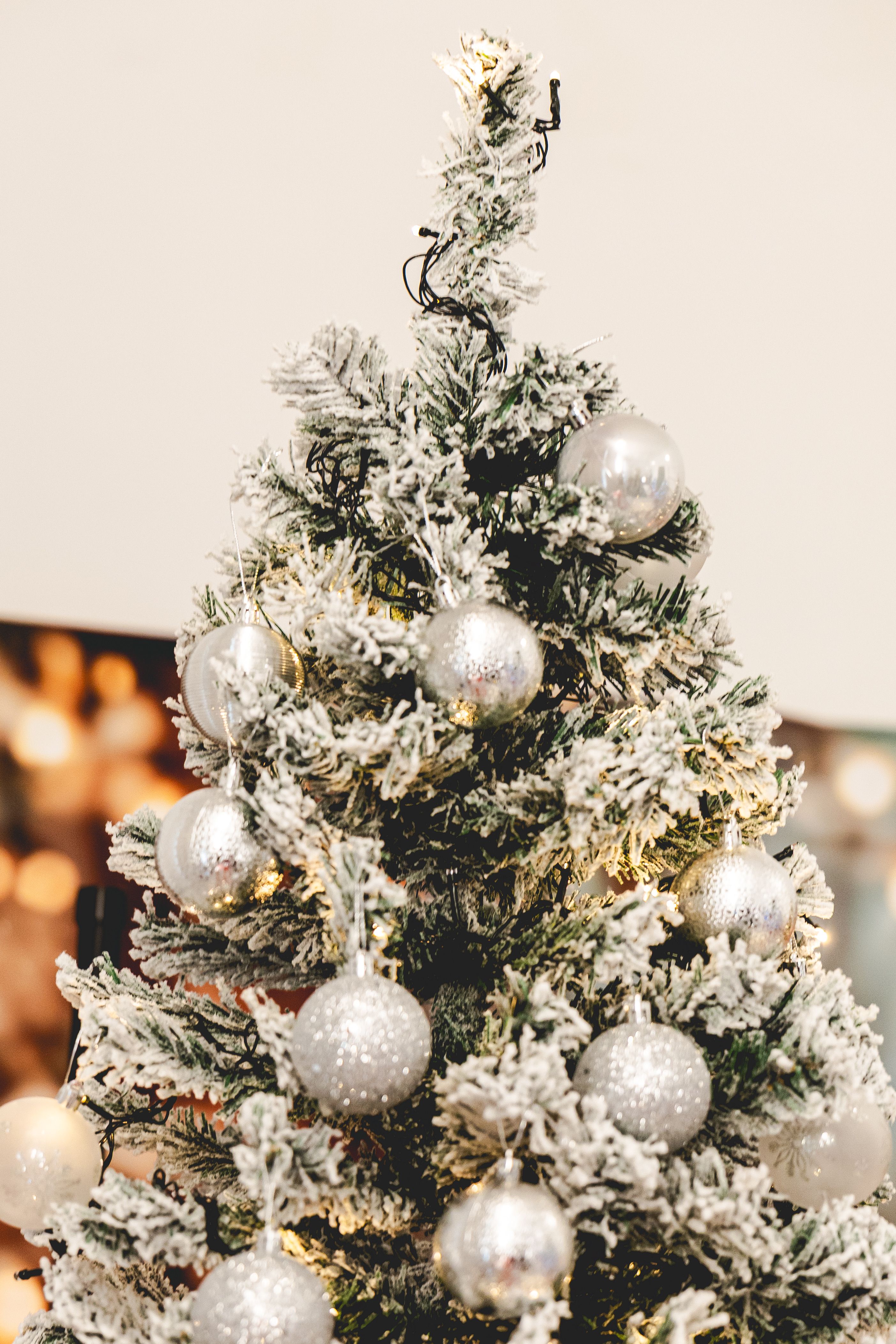 Close-Up Photo of Christmas Tree · Free Stock Photo