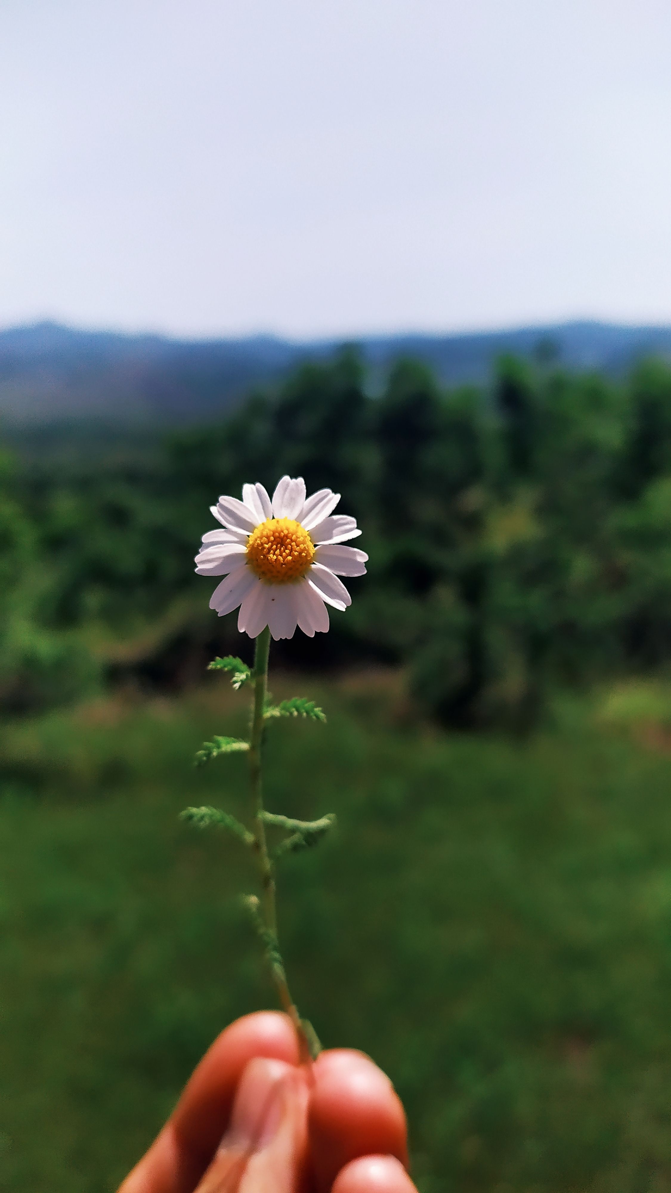 Single Onject Photos, Download The BEST Free Single Onject Stock Photos ...