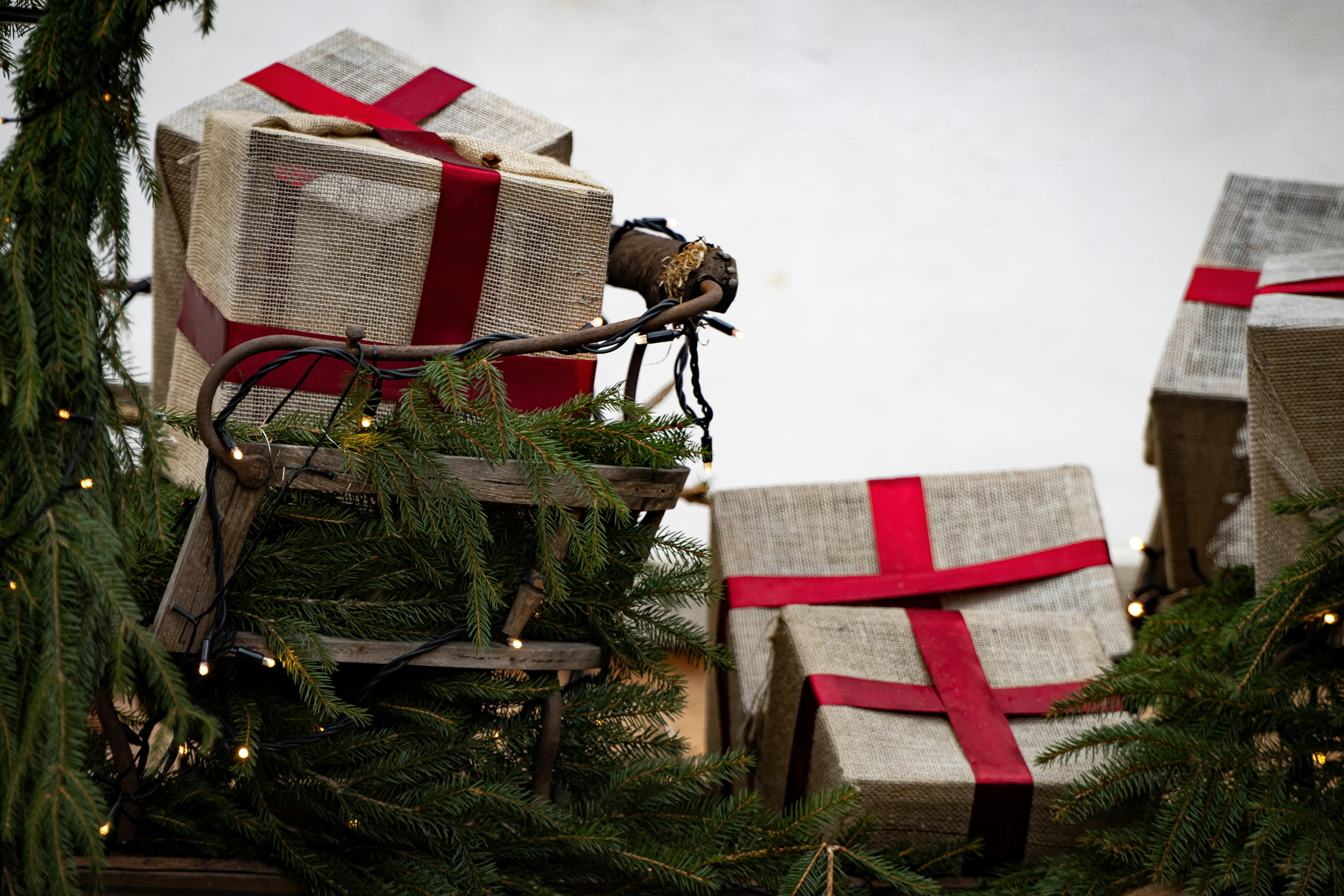 Sleigh Photos, Download The BEST Free Sleigh Stock Photos & HD Images