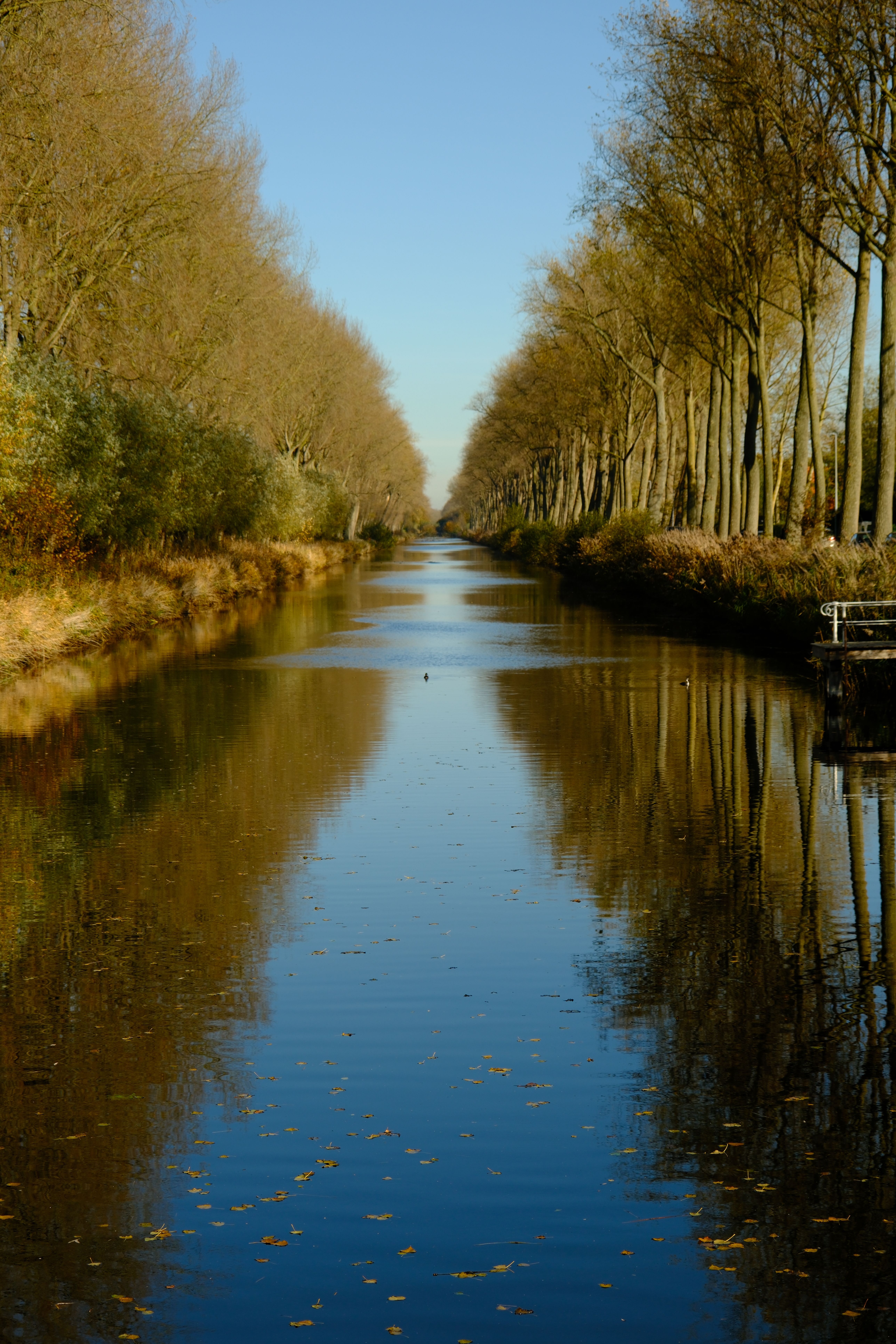 1.000+ Bandera++flandes Bilder und Fotos · Kostenlos Downloaden ...