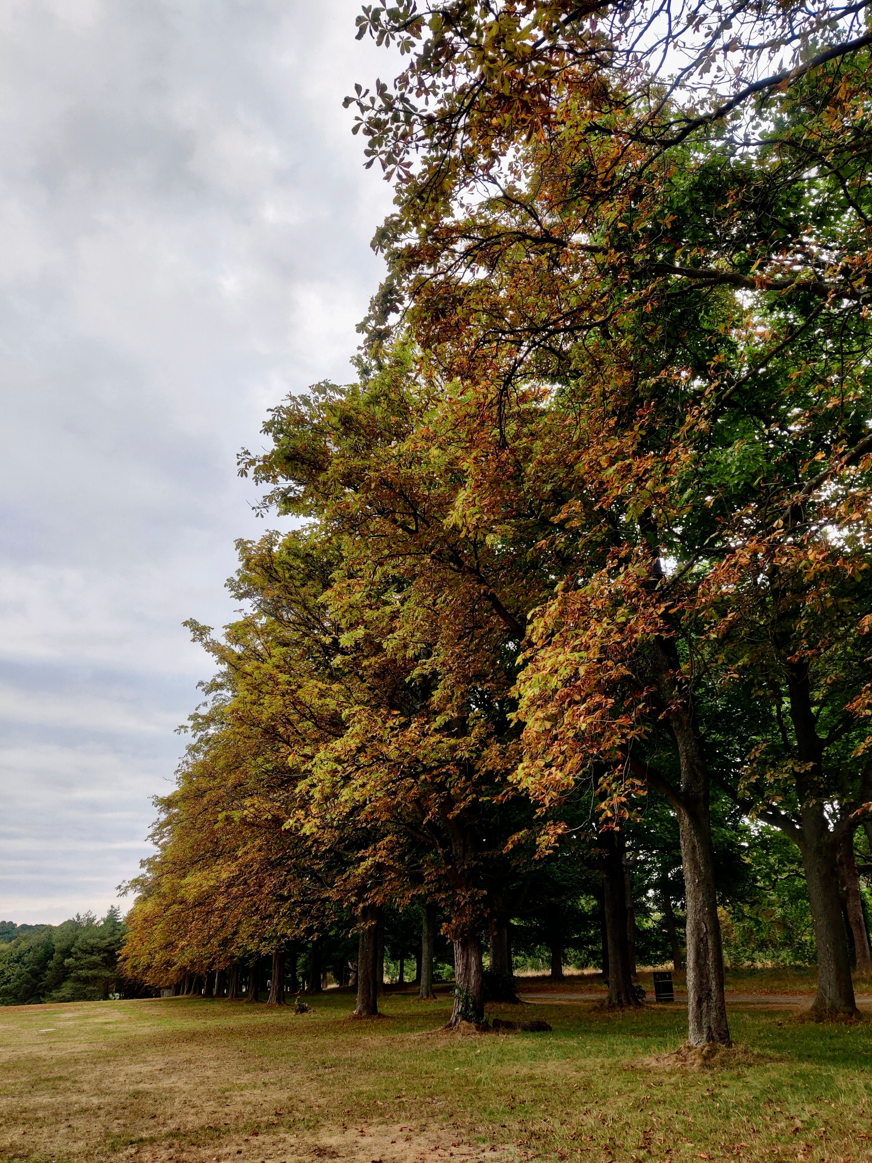 Uk Retial Park Photos, Download The BEST Free Uk Retial Park Stock ...