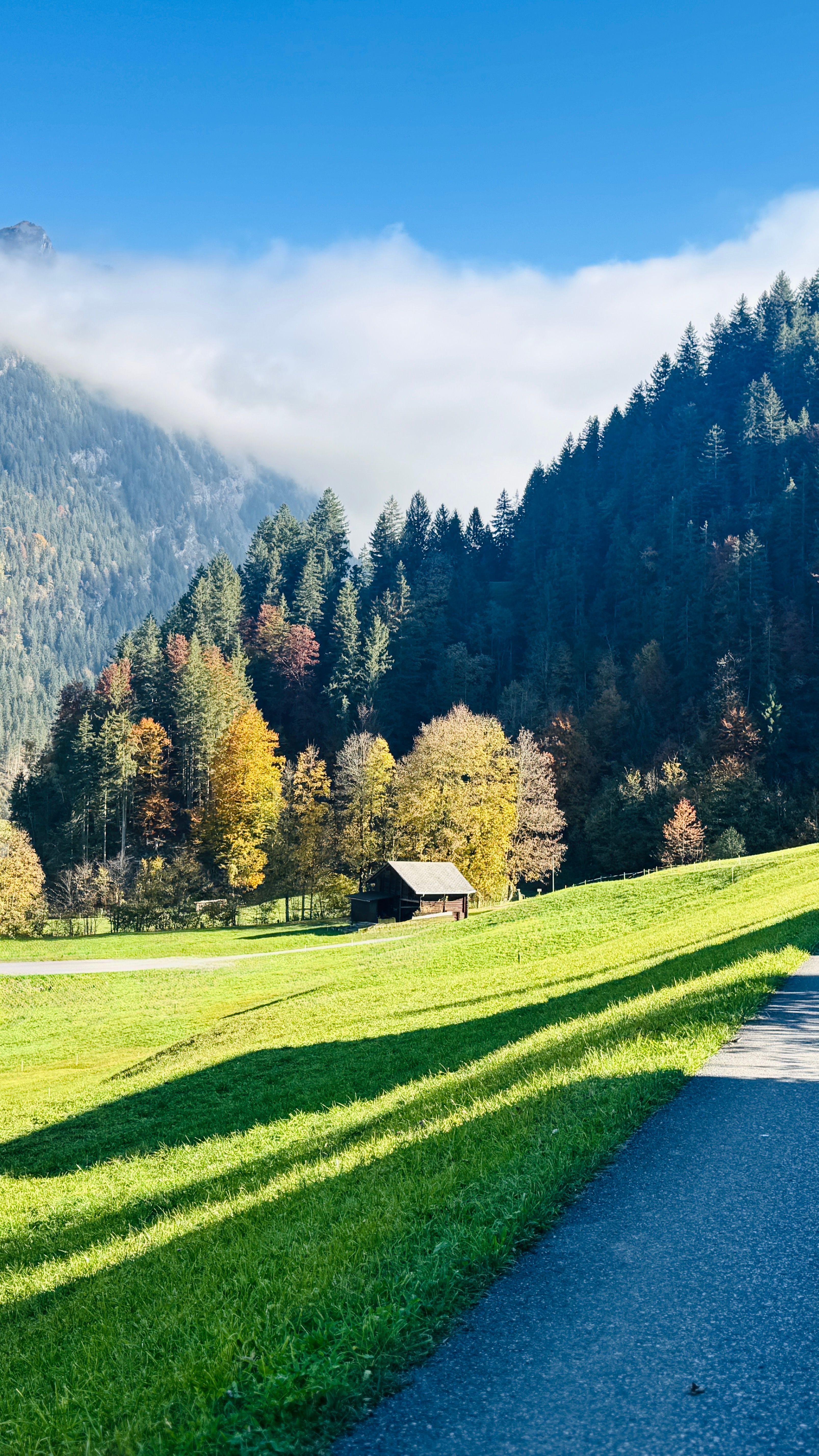 200.000+ melhores imagens de Microsoft-edge-live-wallpaper · Download ...