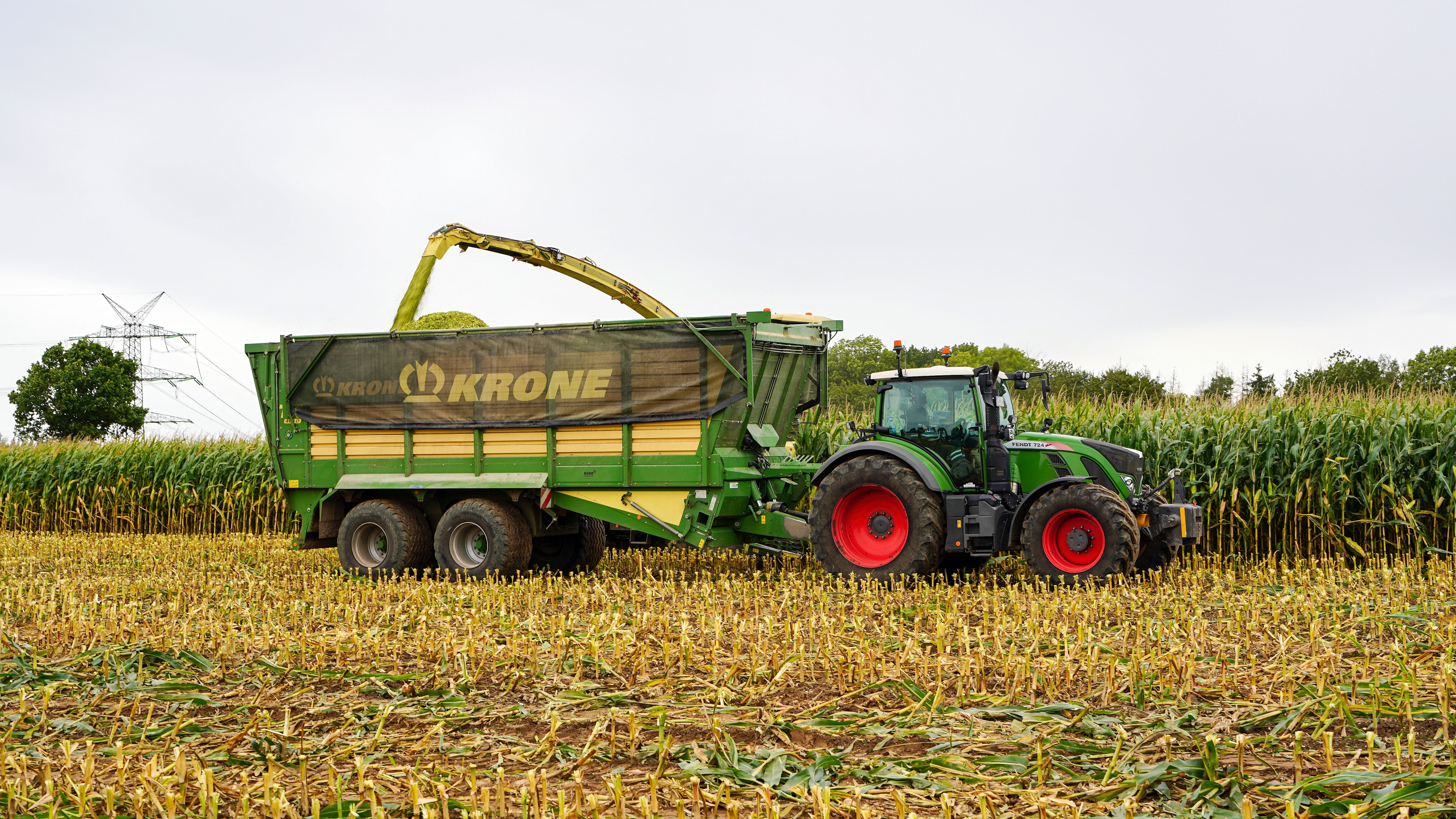 Tractor Harvesting Corn in Schleswig-Holstein Field · Free Stock Photo