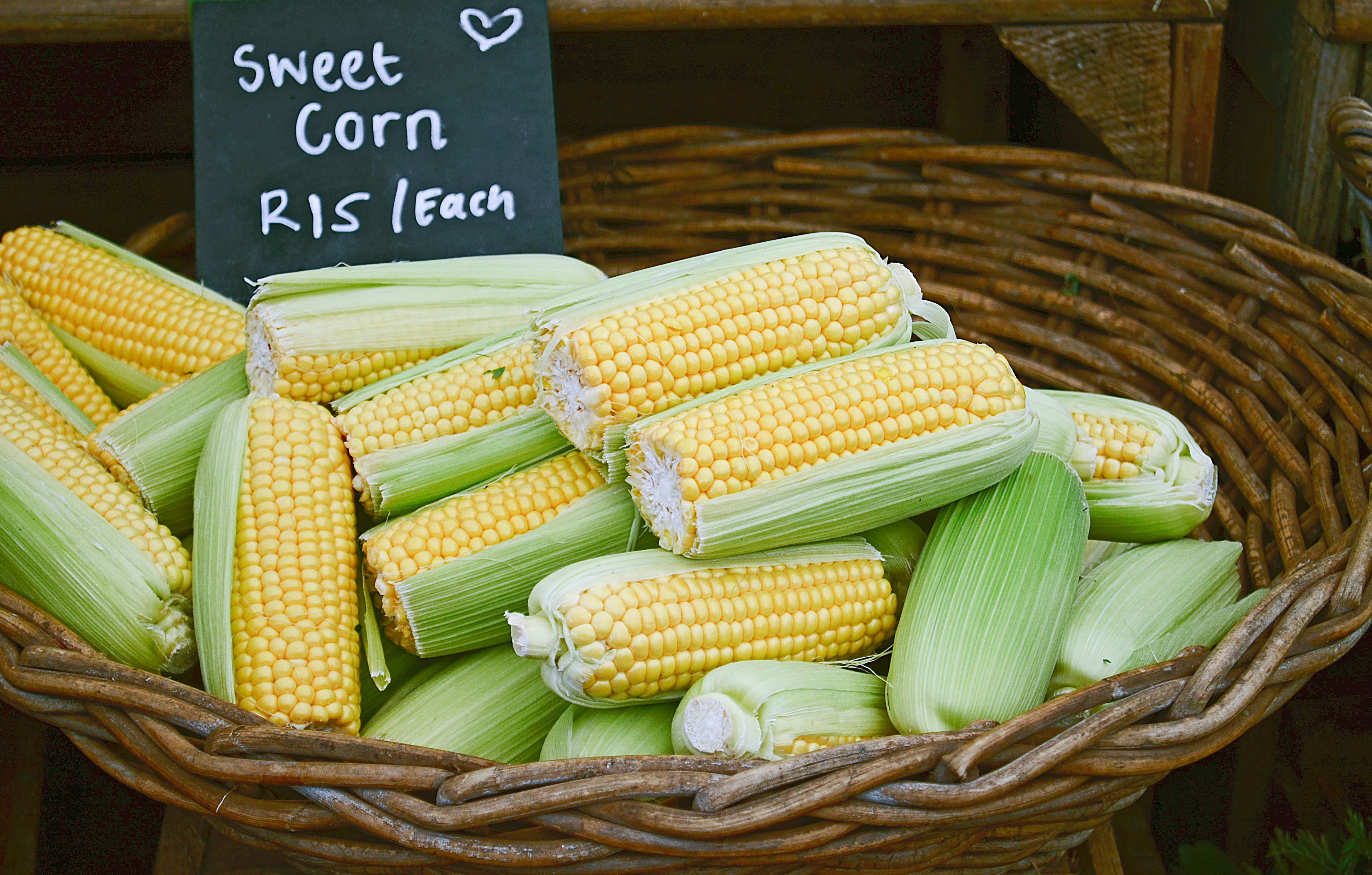 Fresh Sweet Corn on Display at Market · Free Stock Photo