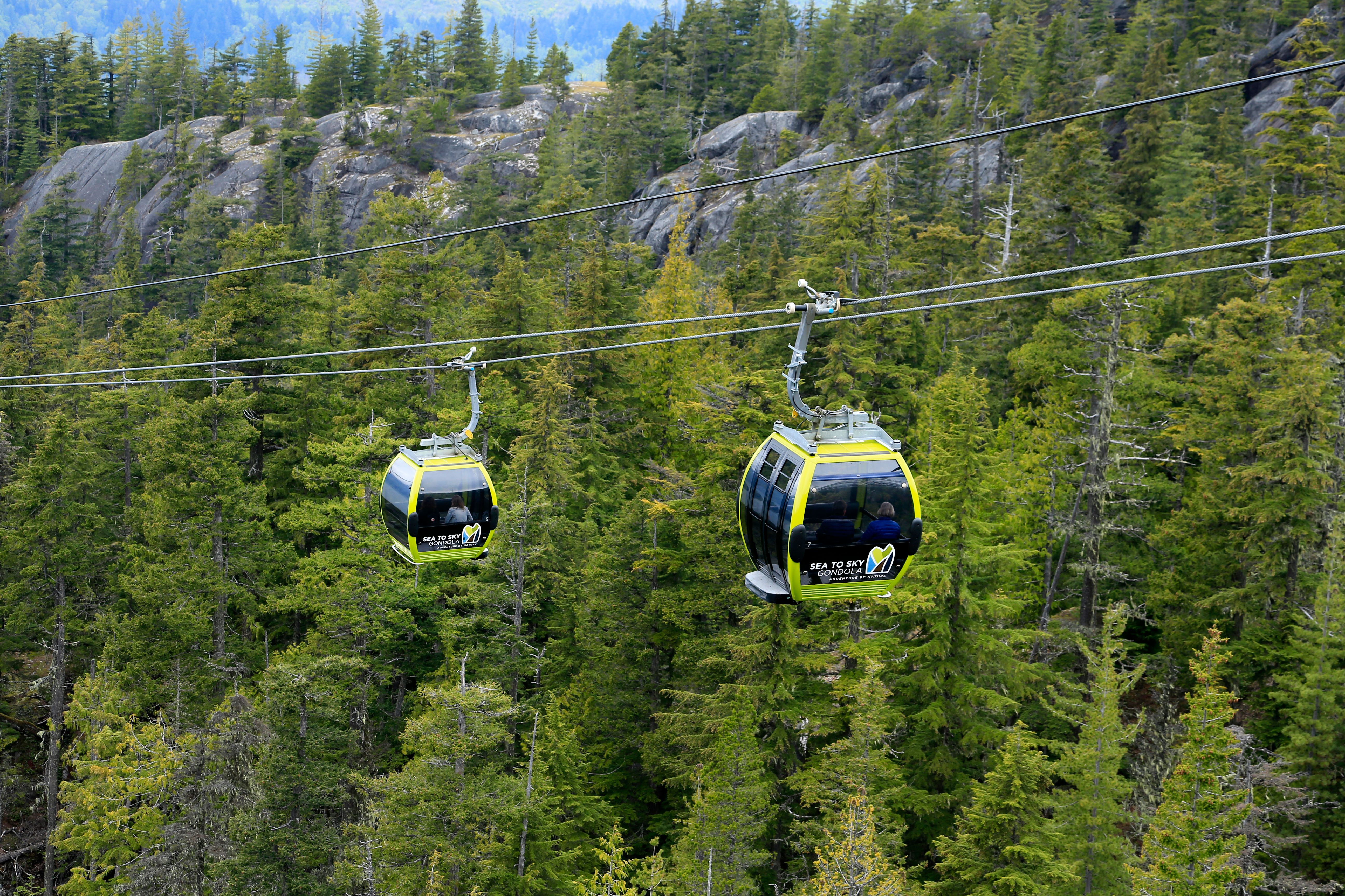 Scenic Cable Cars Over Lush Forest · Free Stock Photo