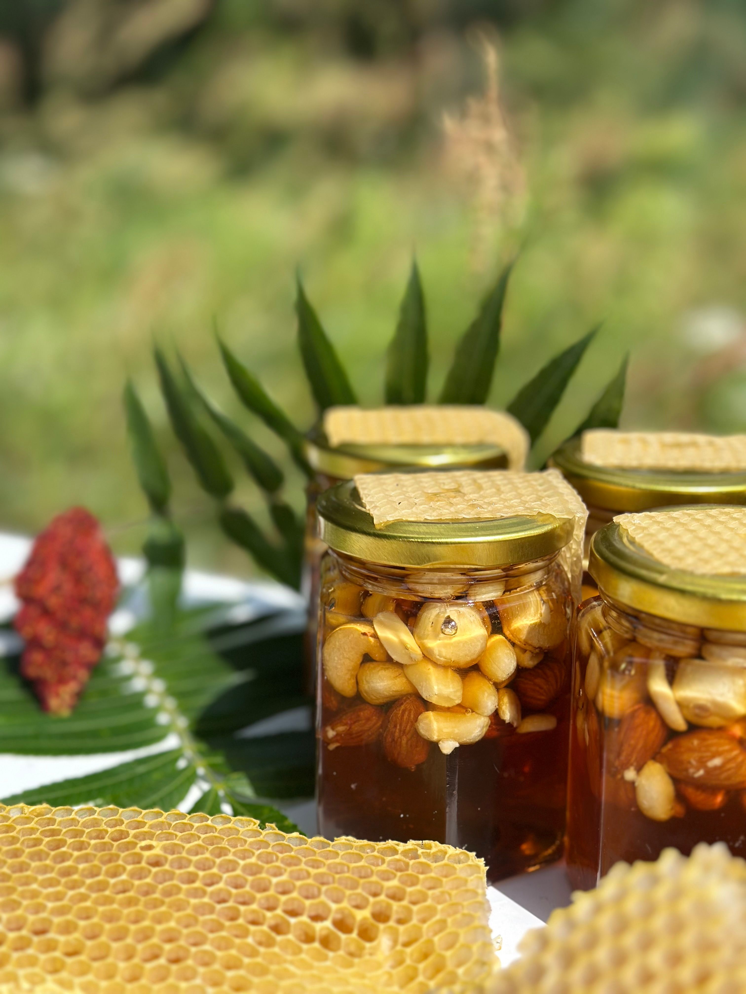 Honeycomb and Nuts in Natural Setting · Free Stock Photo