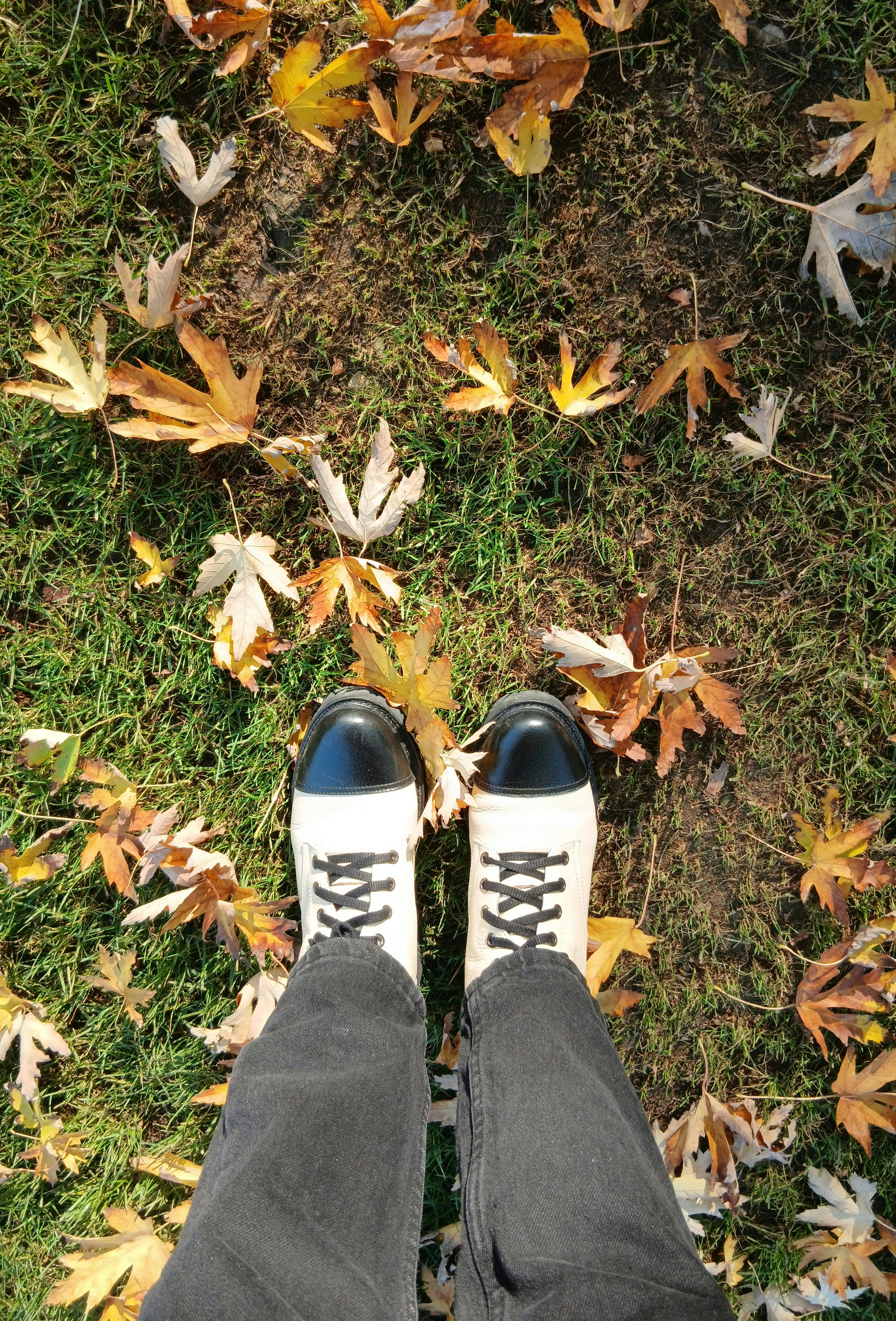 Gross Feet Photos, Download The BEST Free Gross Feet Stock Photos & HD ...