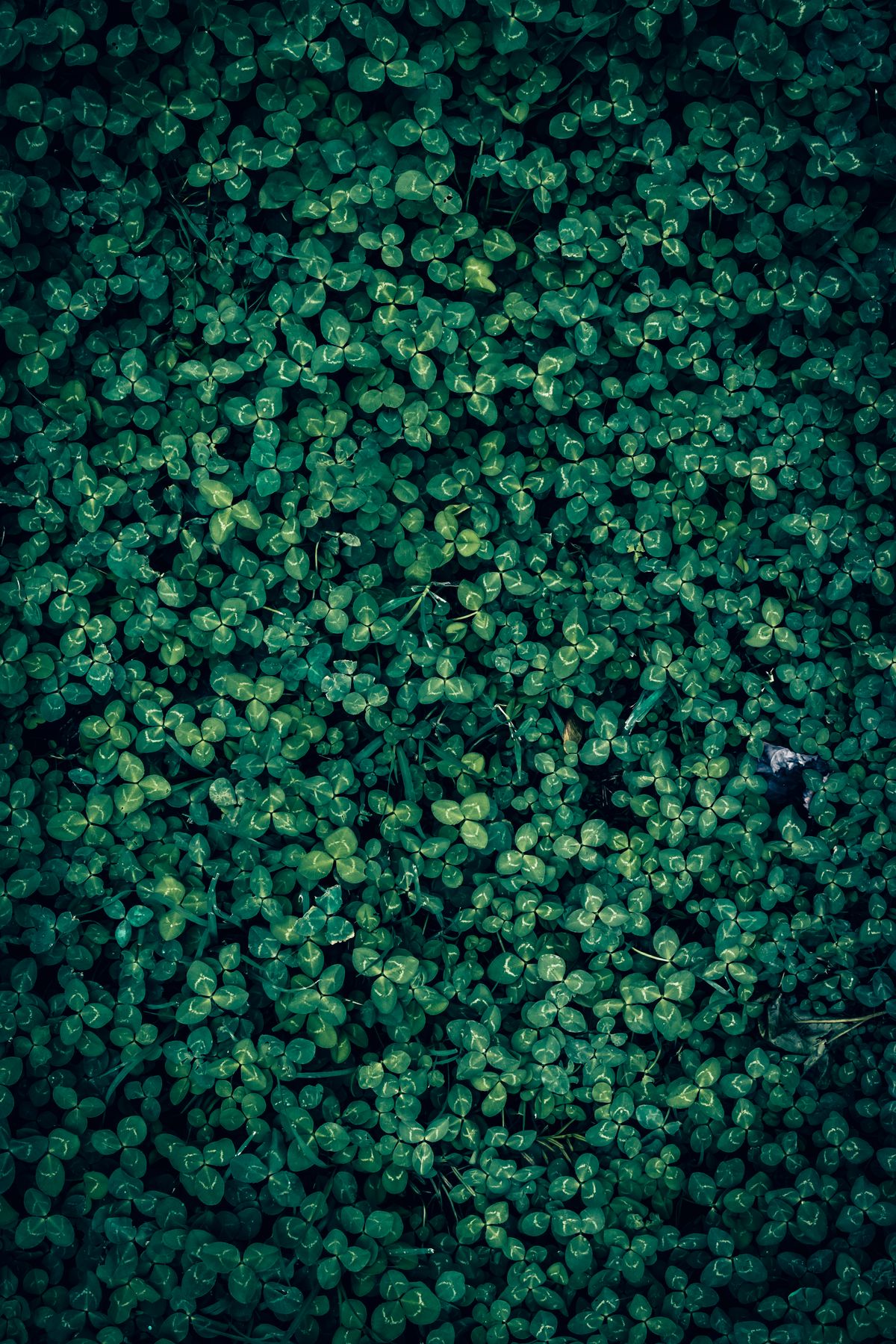 Pubmat Backgrounds Photos, Download The BEST Free Pubmat Backgrounds ...