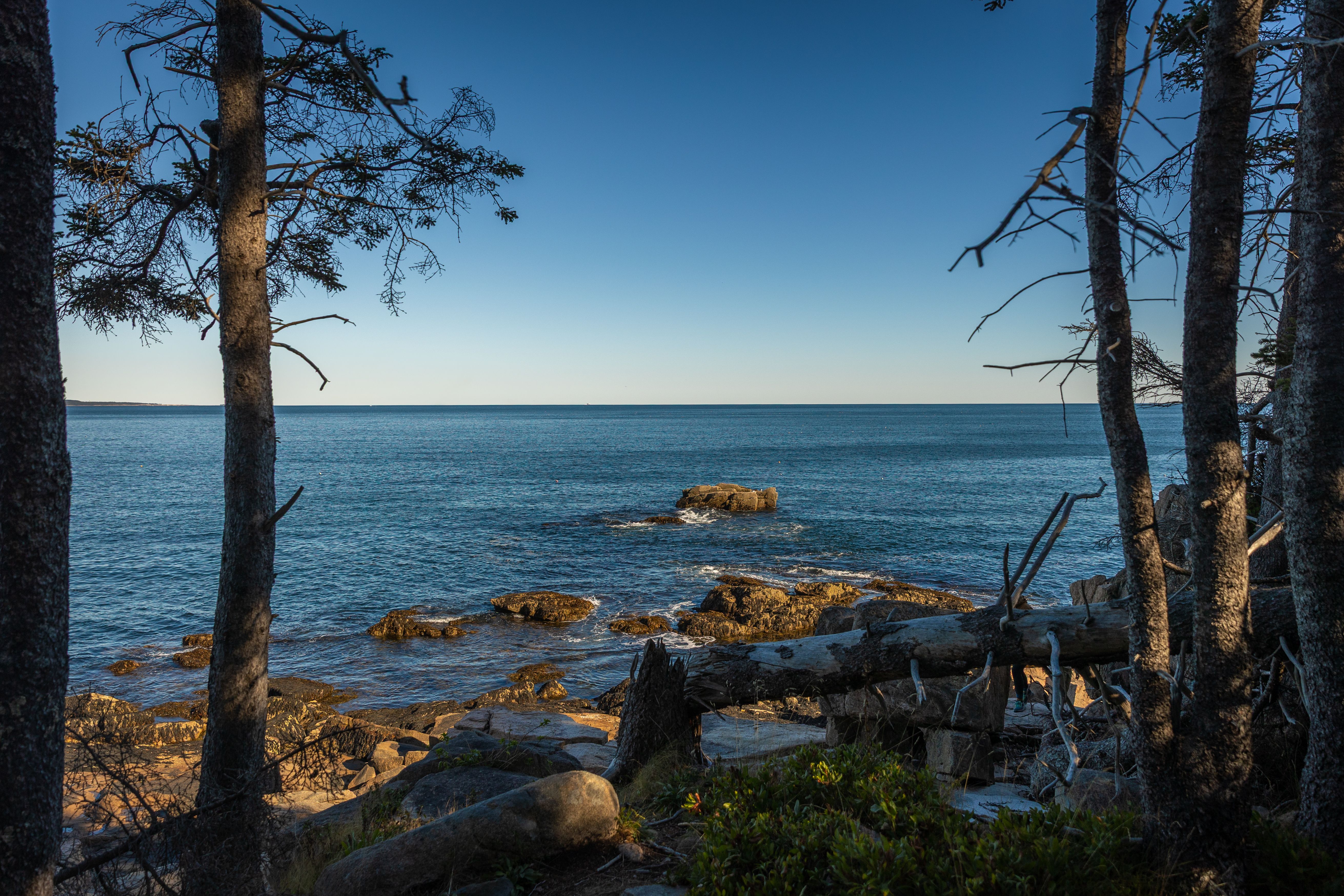 Beautiful Coastal View of Maine's Rocky Shoreline · Free Stock Photo
