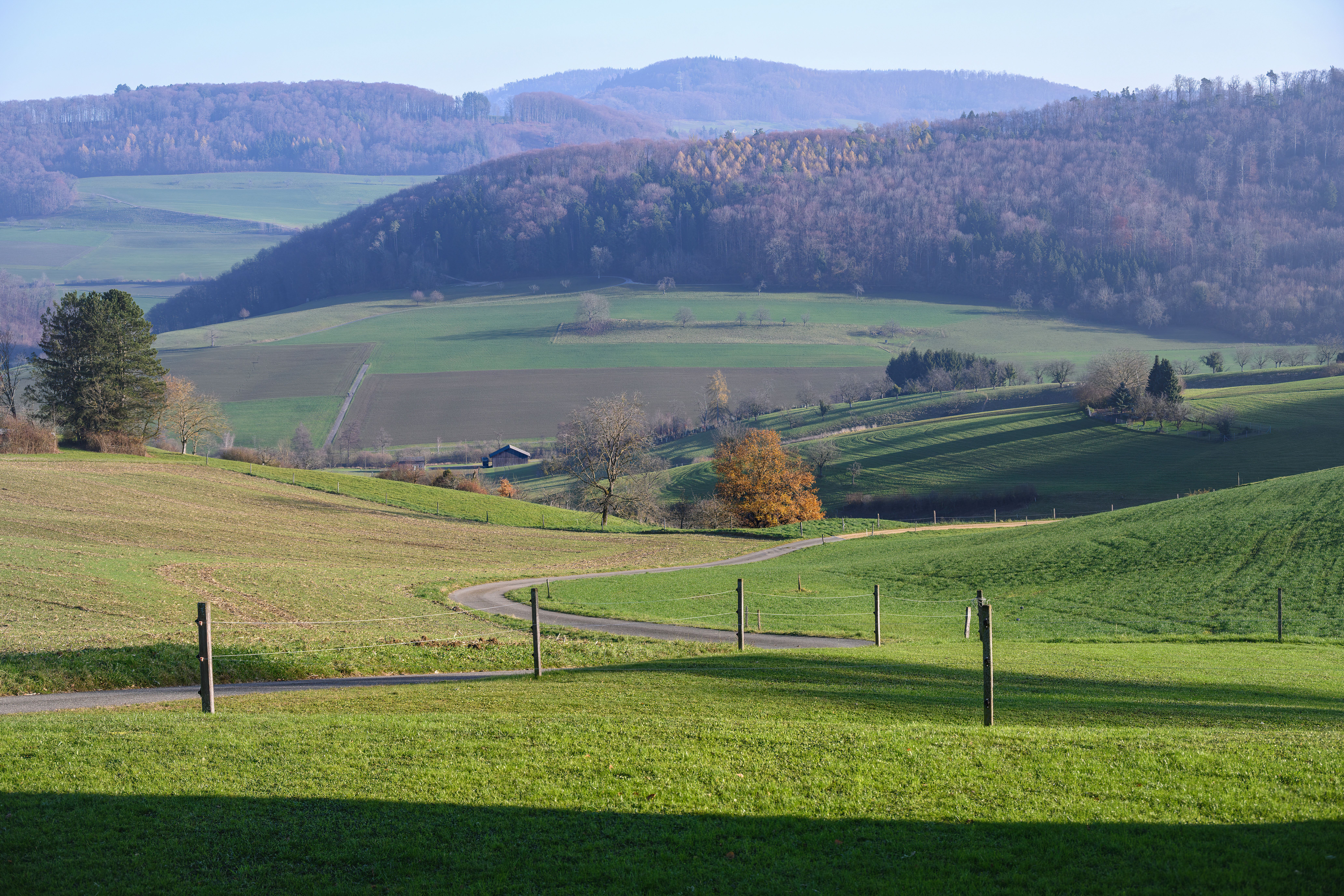 Scenic Rolling Hills and Valley Landscape · Free Stock Photo