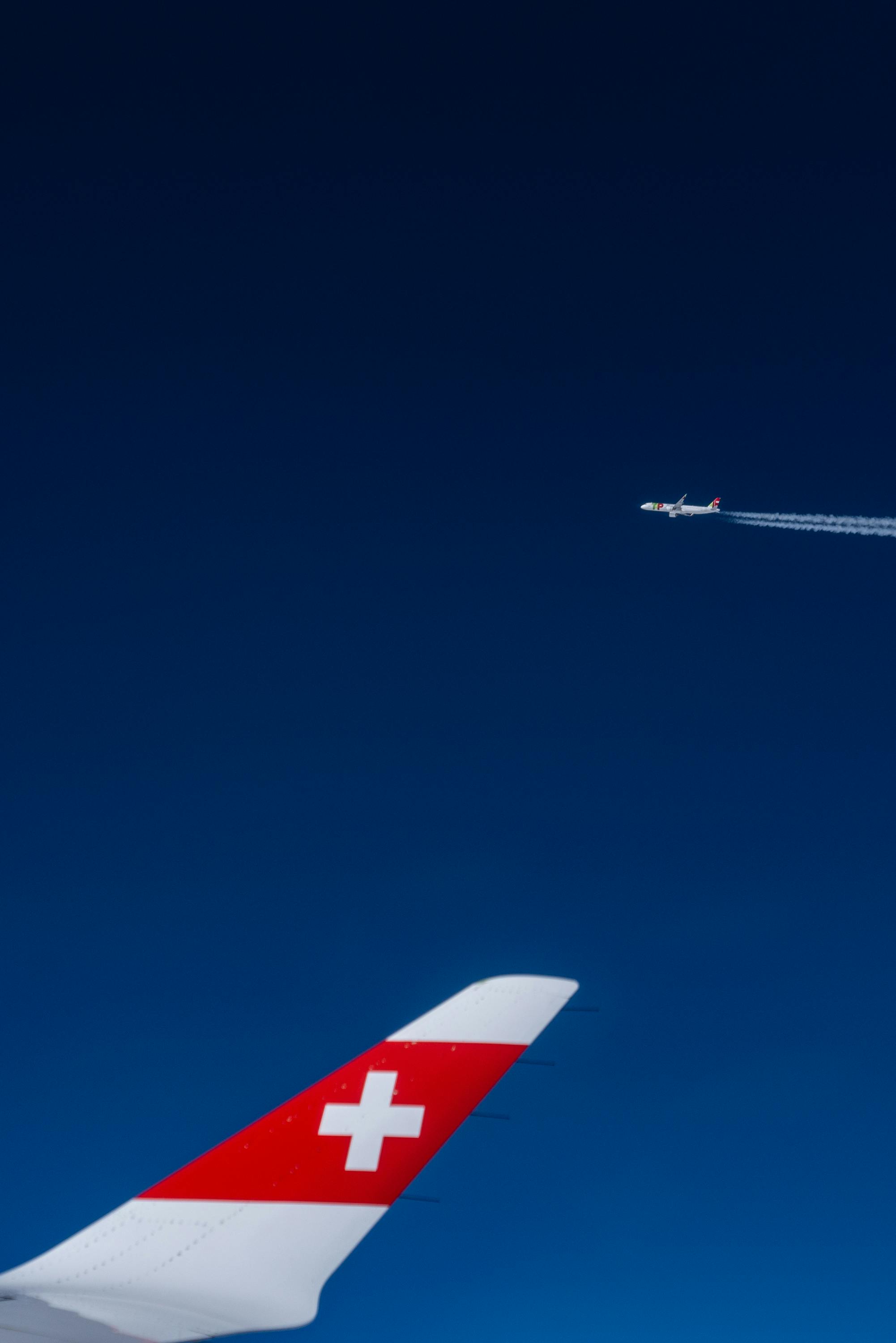 Cartoon Airplane Photos, Download The BEST Free Cartoon Airplane Stock ...