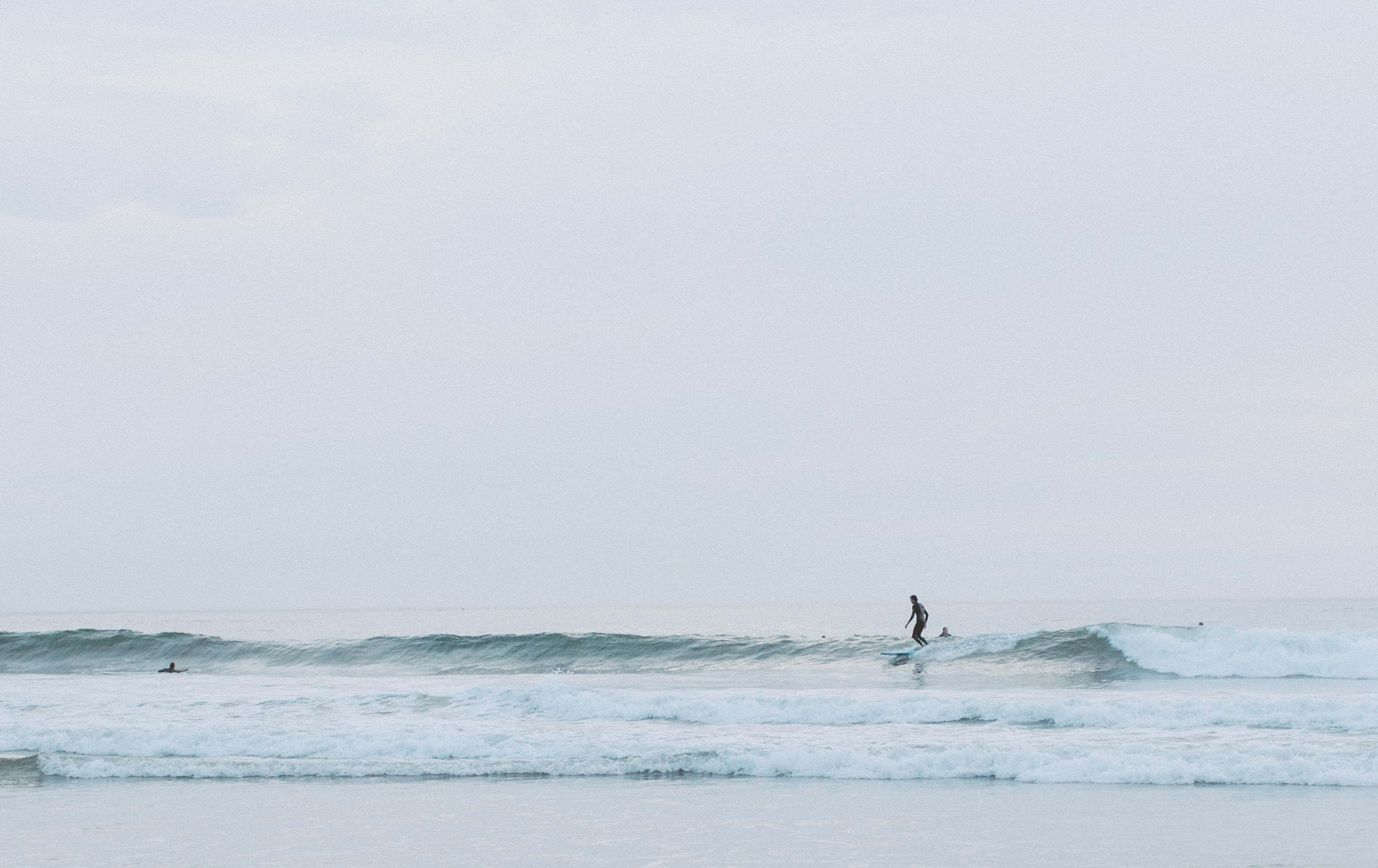 Serene Surfing at Dawn on Ocean Waves · Free Stock Photo