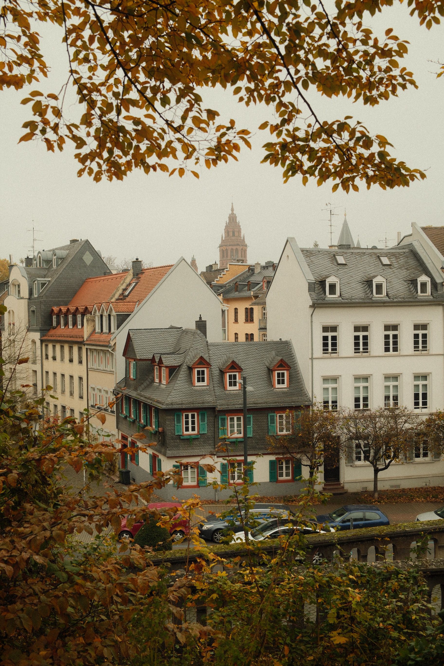 Deutschhaus Photos, Download The BEST Free Deutschhaus Stock Photos ...