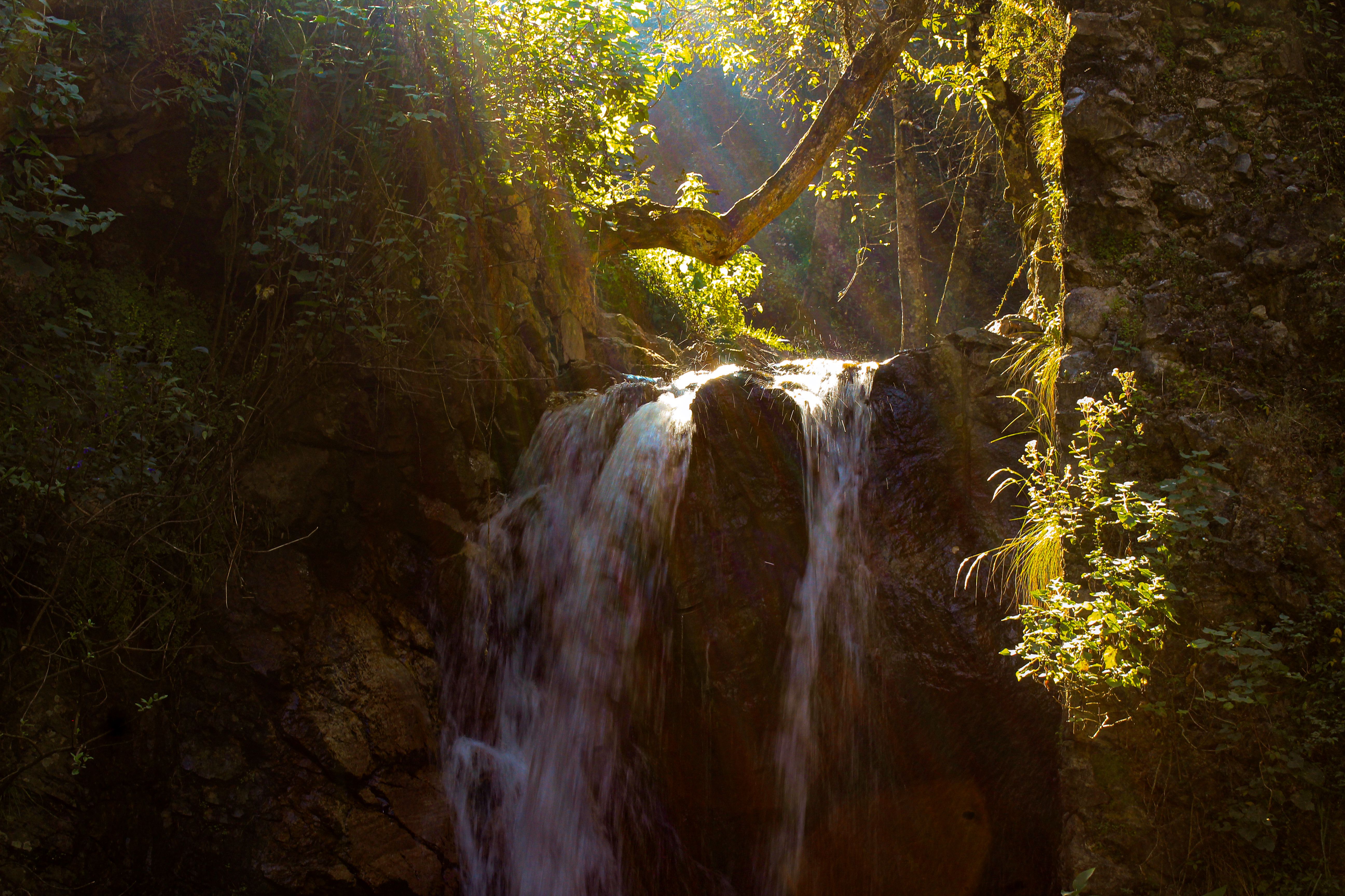 Foto de stock gratuita sobre acuoso, agua en cascada, agua que fluye ...