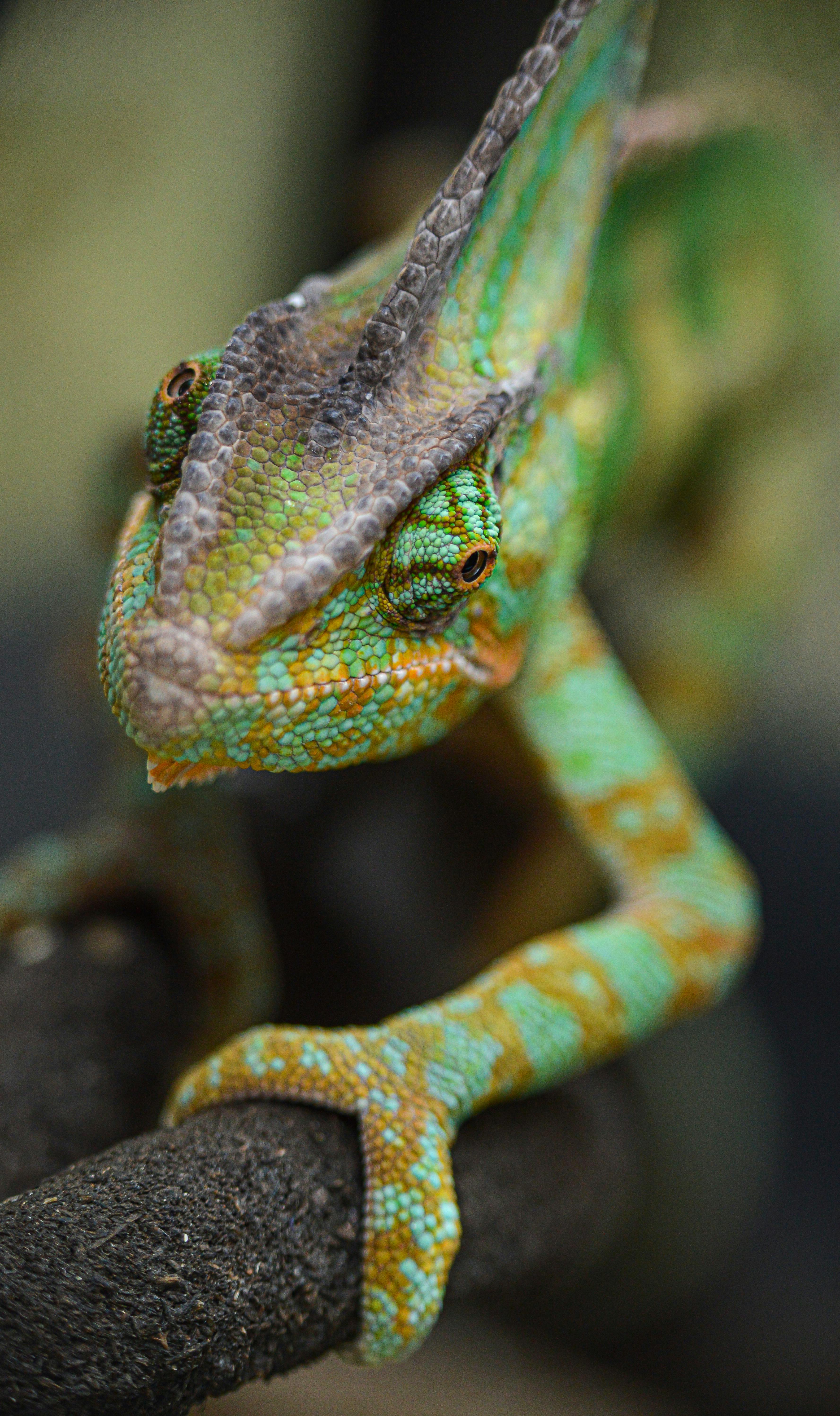 60.651+ Fotos y Imágenes de Insane wallpaper Gratis · Banco de Fotos Gratis