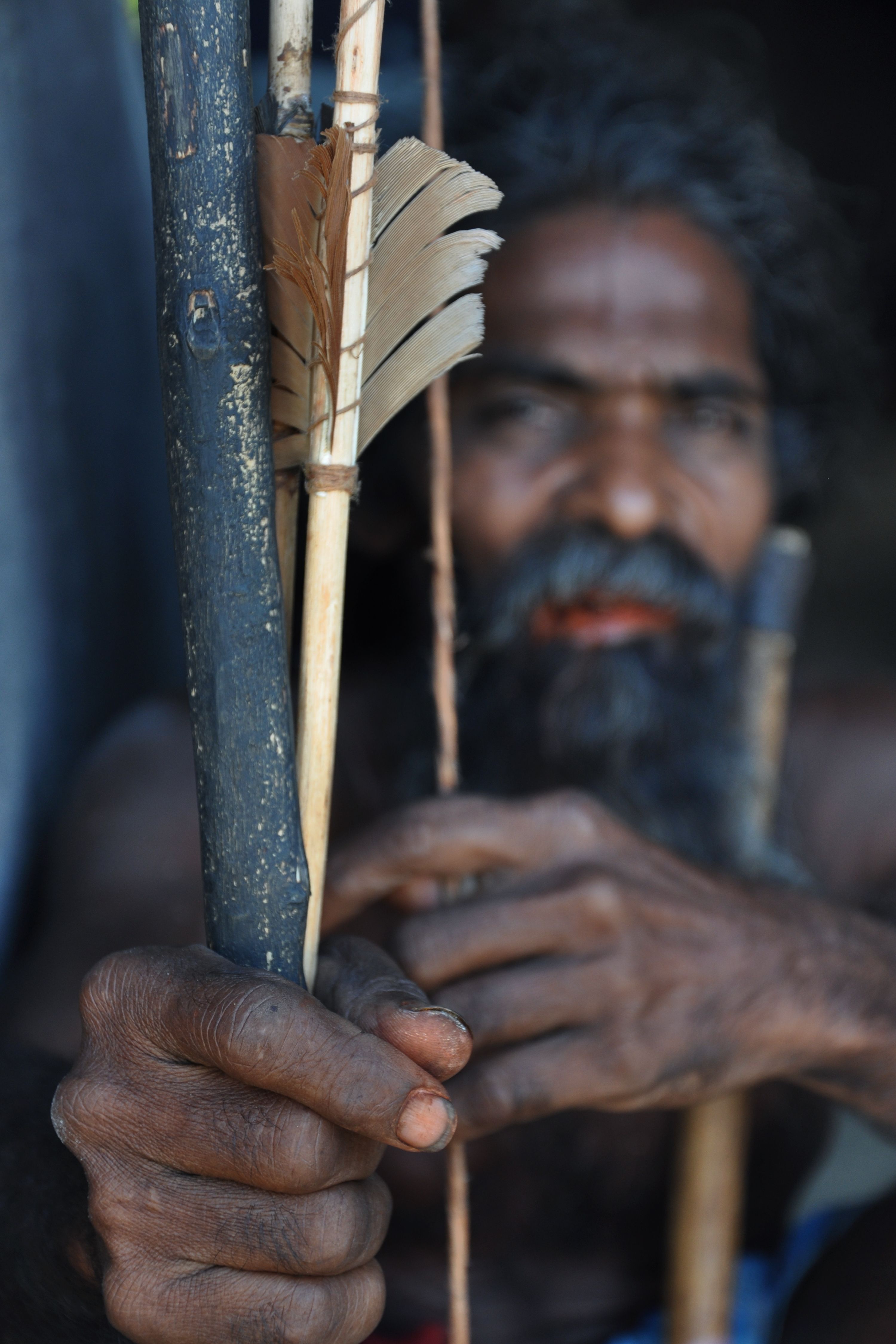 Survival Photos, Download The BEST Free Survival Stock Photos & HD Images