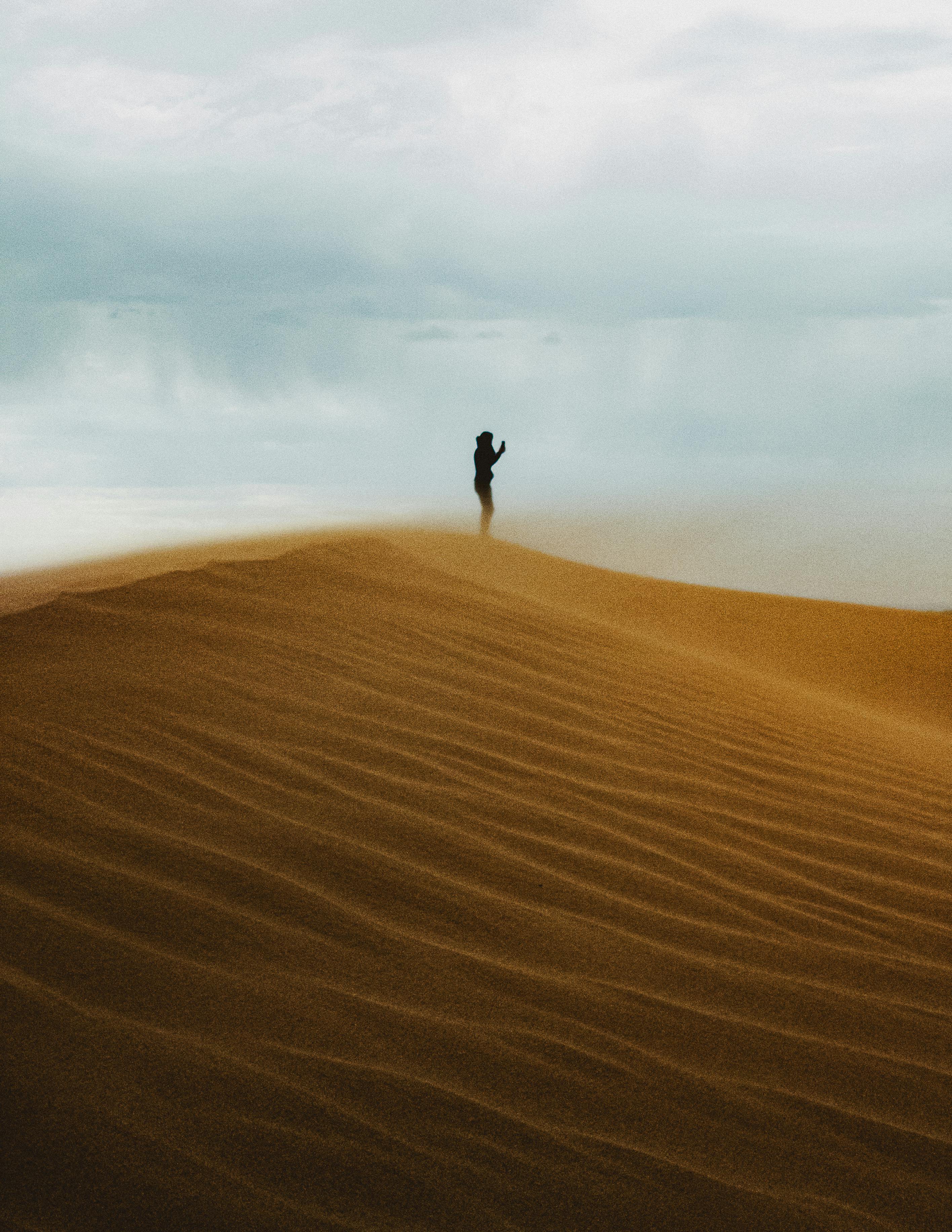 Momento De Descanso, Hermoso Desierto · Foto de stock gratuita