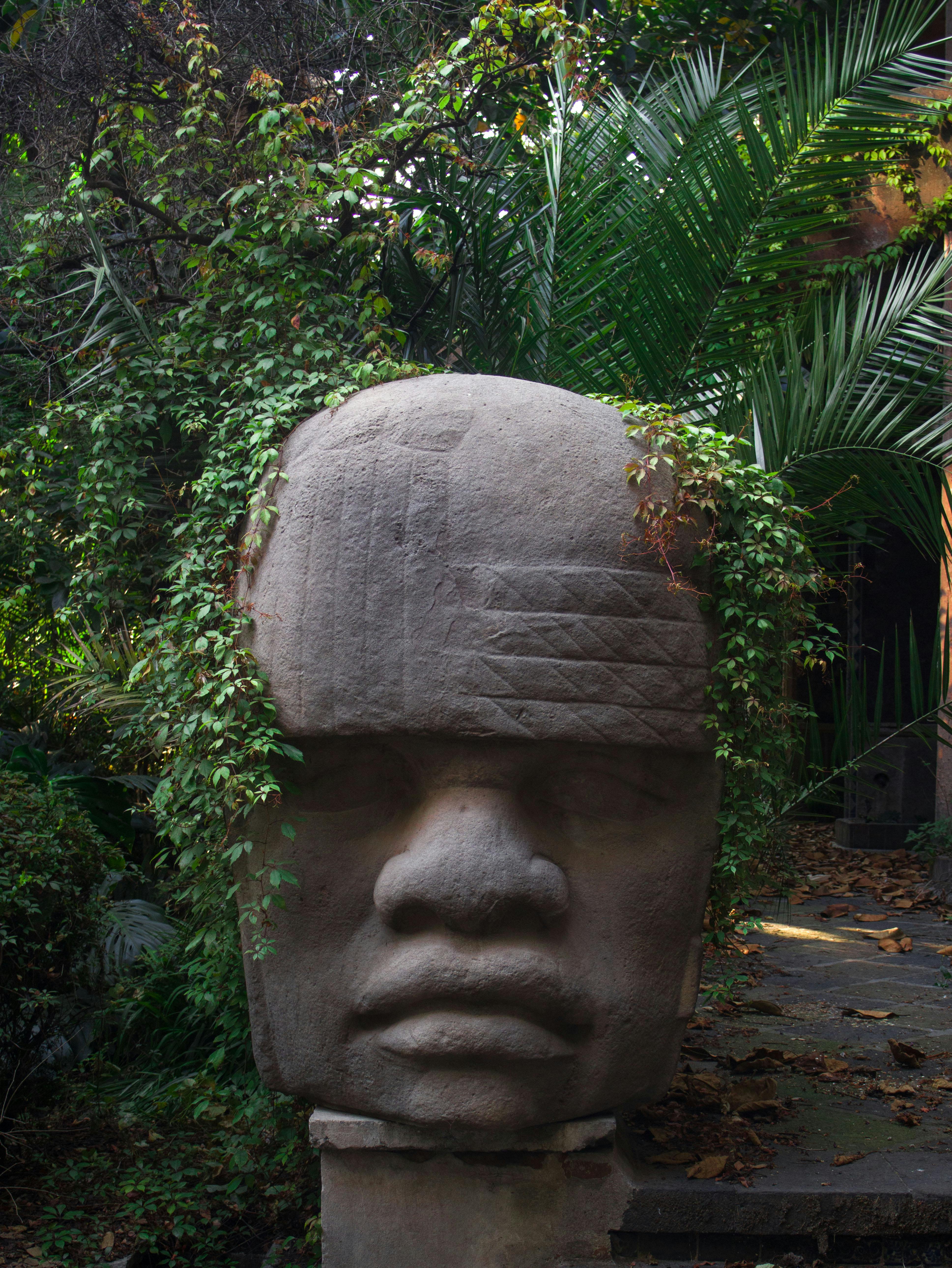 Antigua Cabeza De Piedra Olmeca En Un Exuberante Jardín · Foto de stock ...