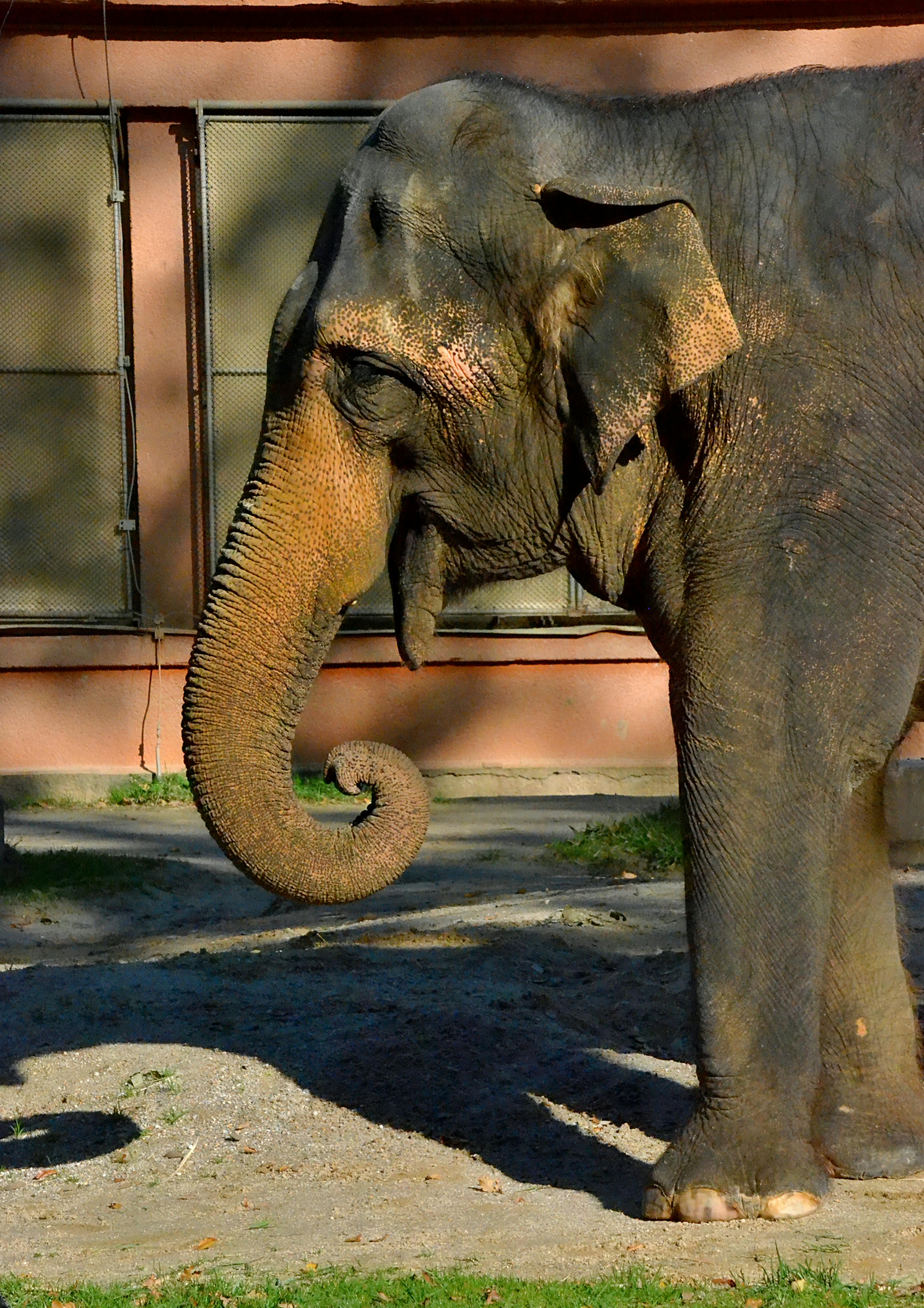 Big Buttocks Photos, Download The BEST Free Big Buttocks Stock Photos ...