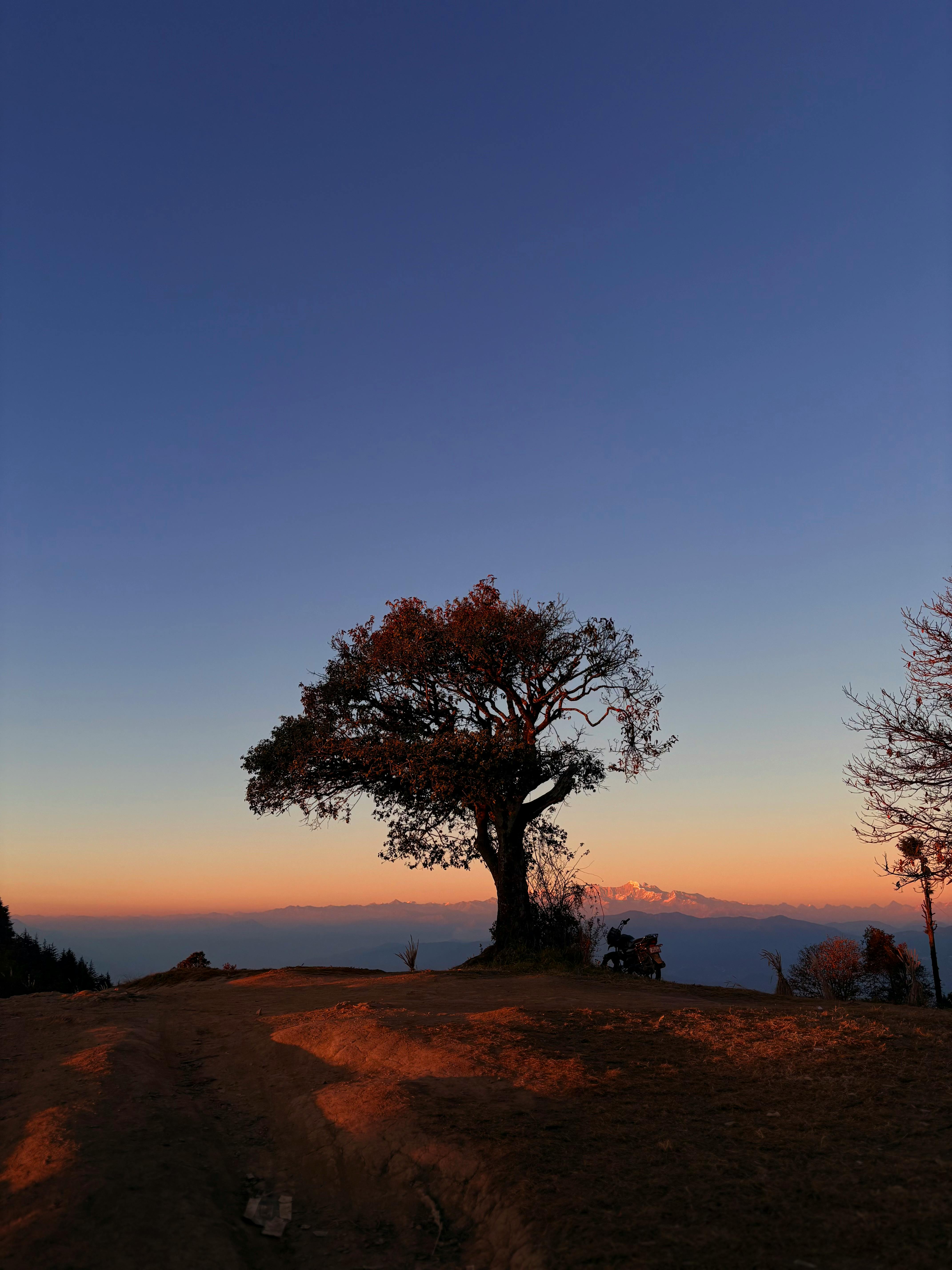 Foto de stock gratuita sobre aire libre, aislamiento, al aire libre ...