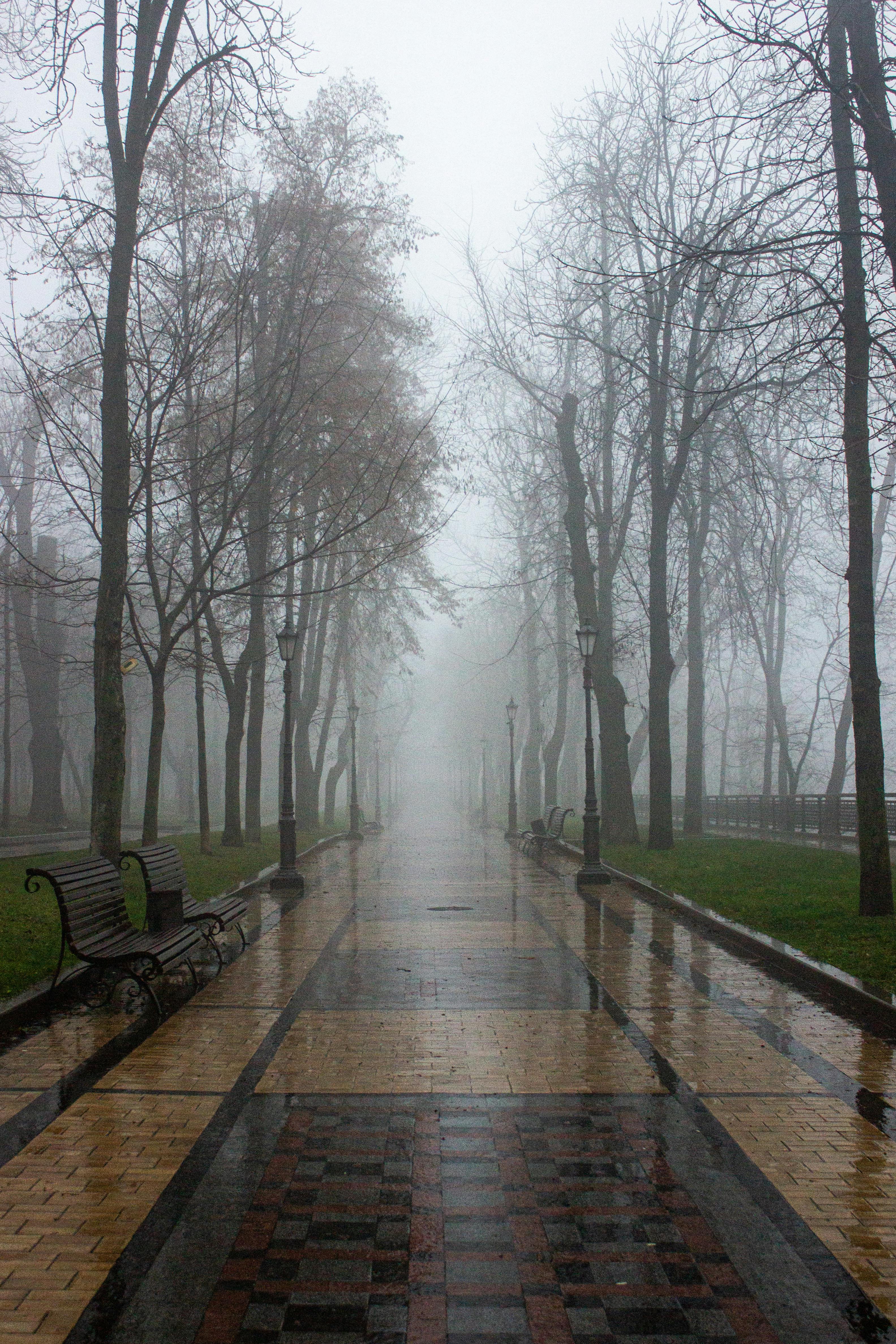 Damp+Lips Photos, Download The BEST Free Damp+Lips Stock Photos & HD Images