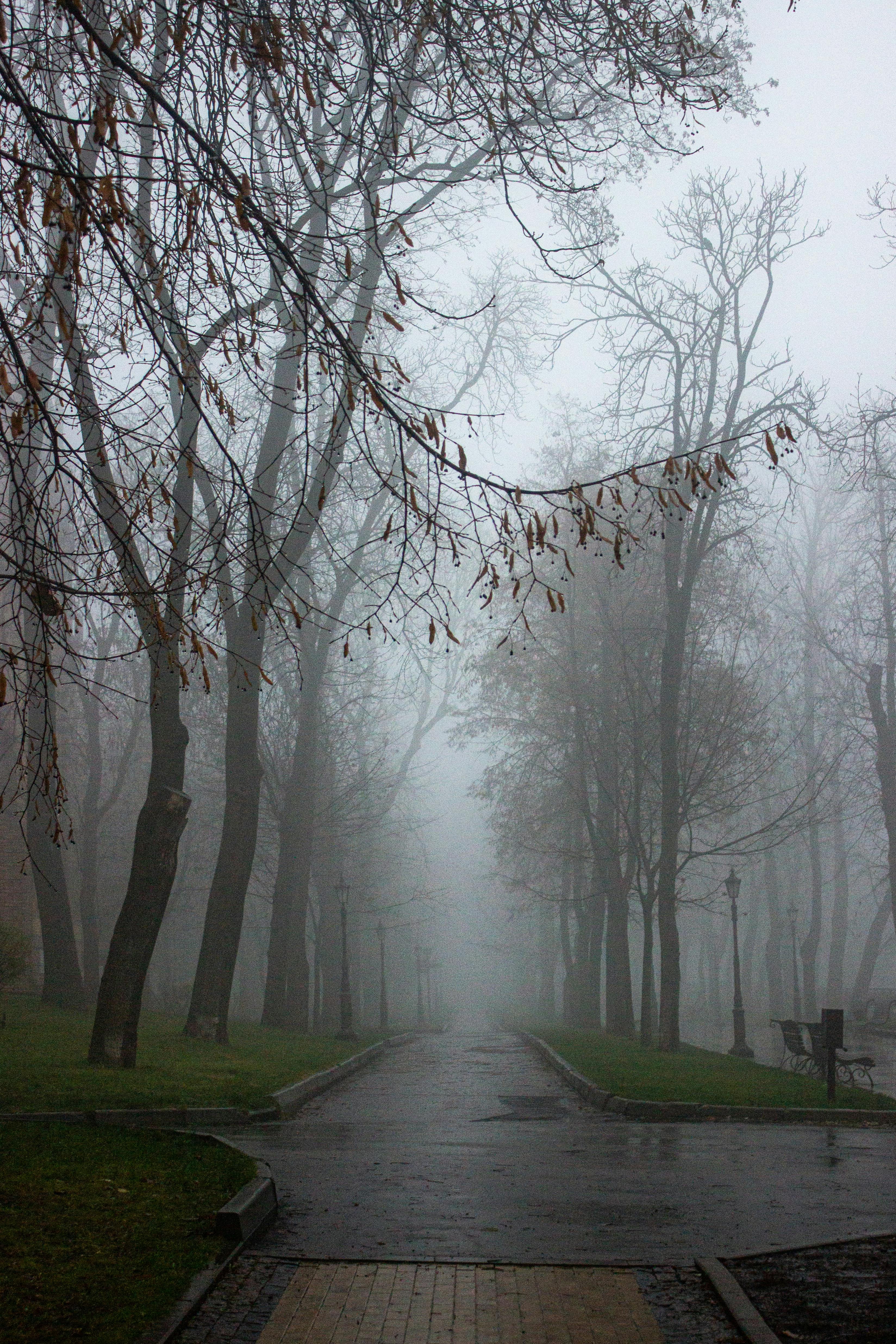 Nature In November Photos, Download The BEST Free Nature In November ...