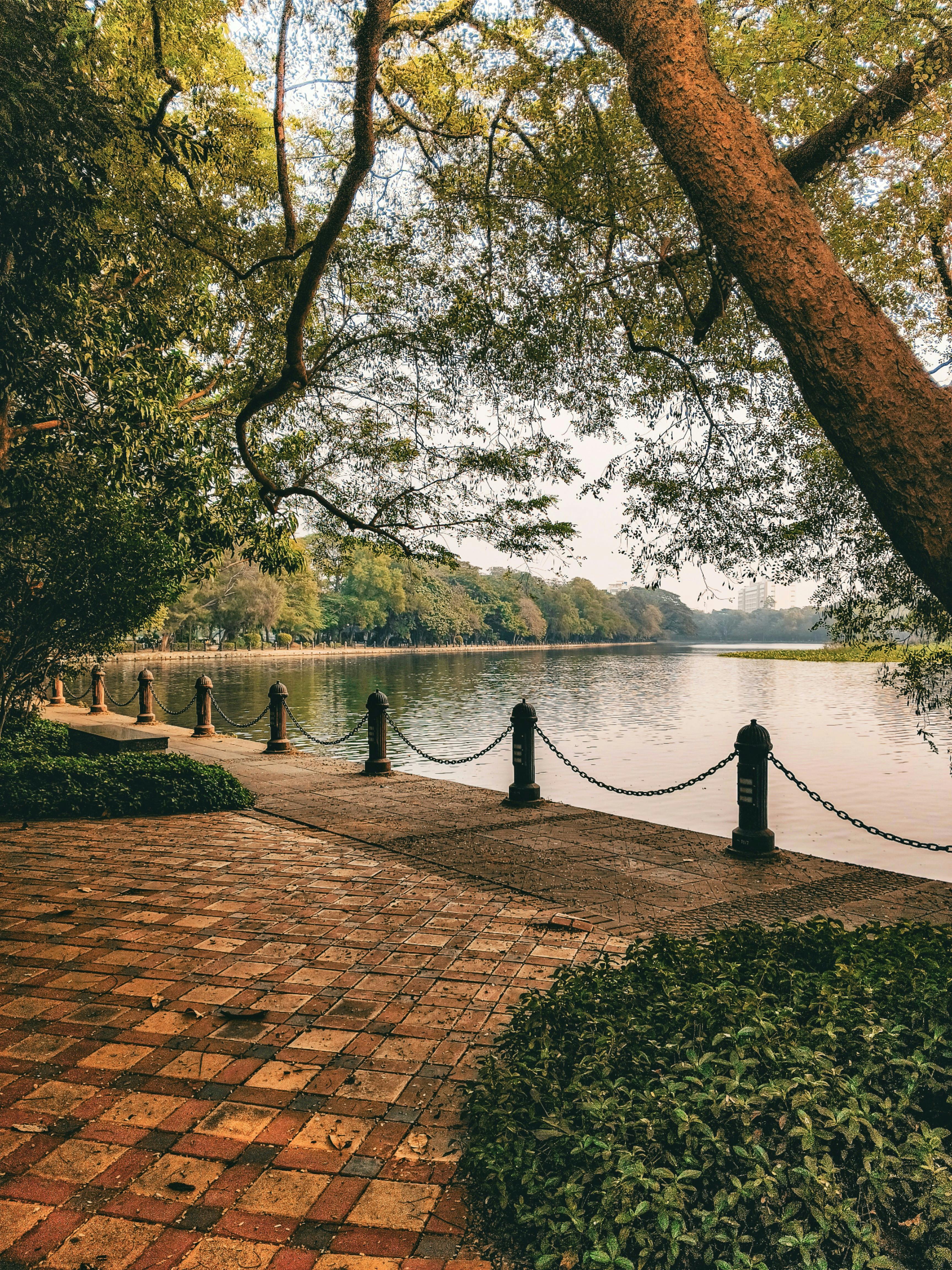 Serene View of Rabindra Sarobar Lake in Kolkata · Free Stock Photo