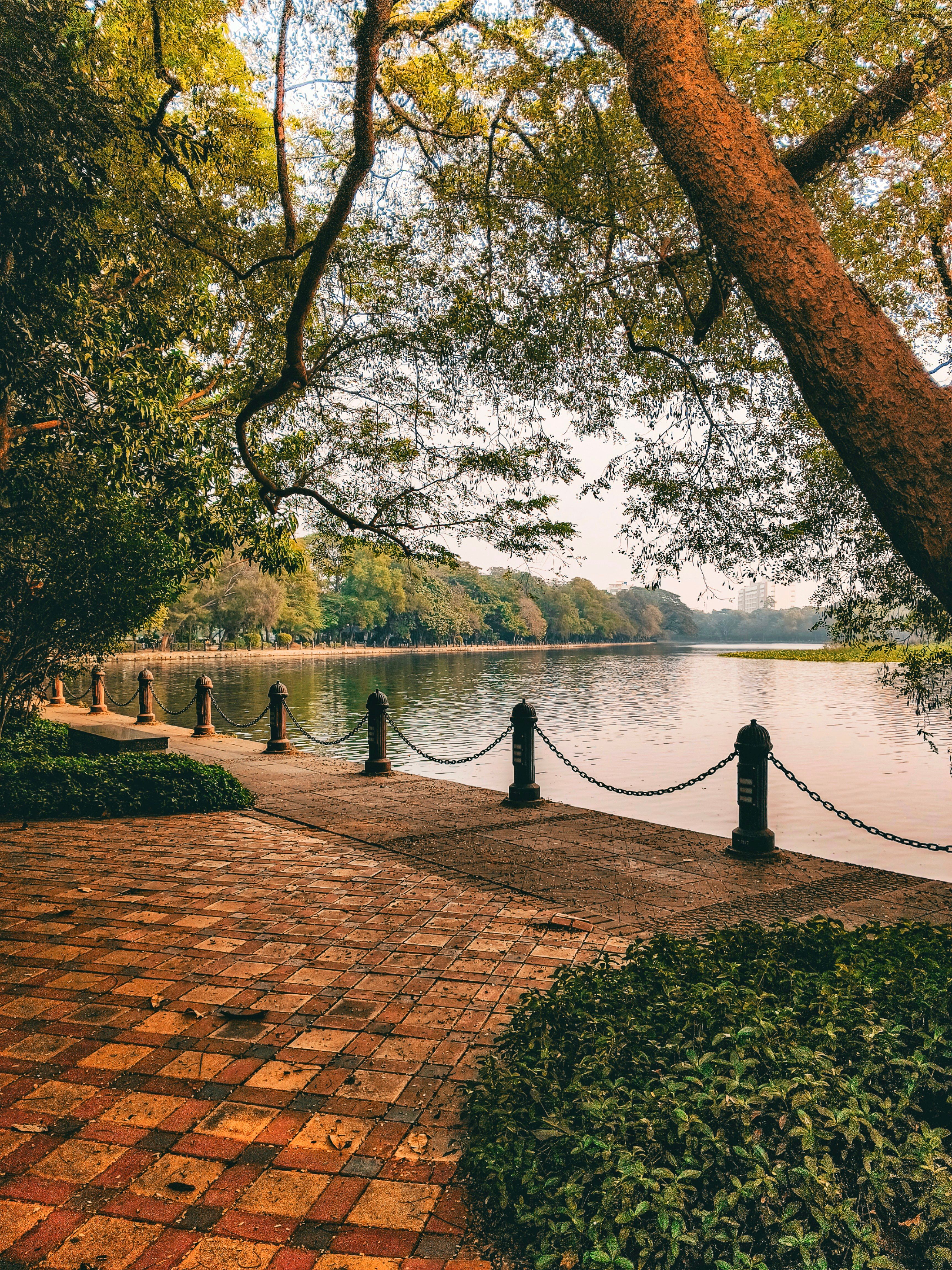 Serene View of Rabindra Sarobar Lake in Kolkata · Free Stock Photo
