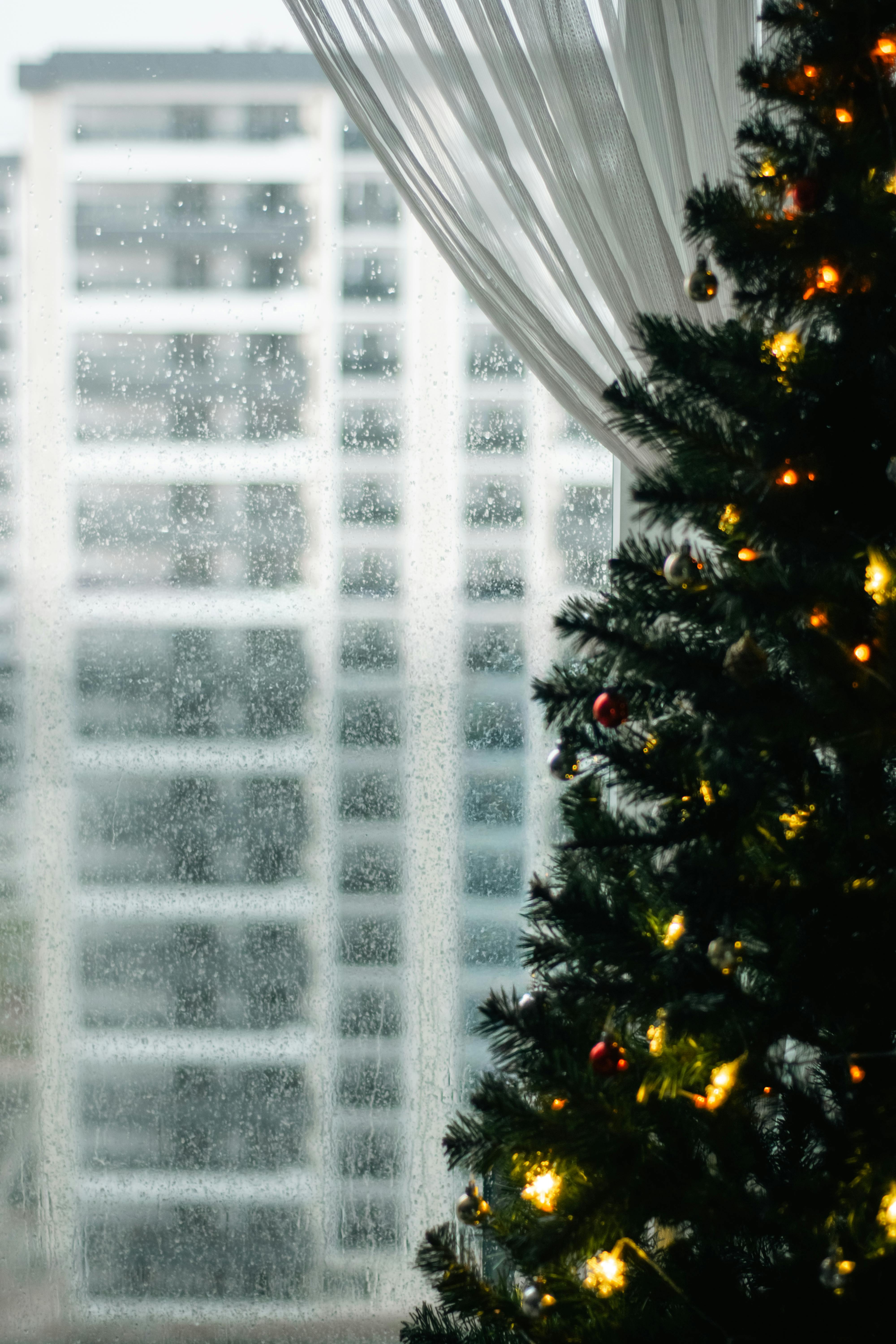 Christmas Rain Photos, Download The BEST Free Christmas Rain Stock ...