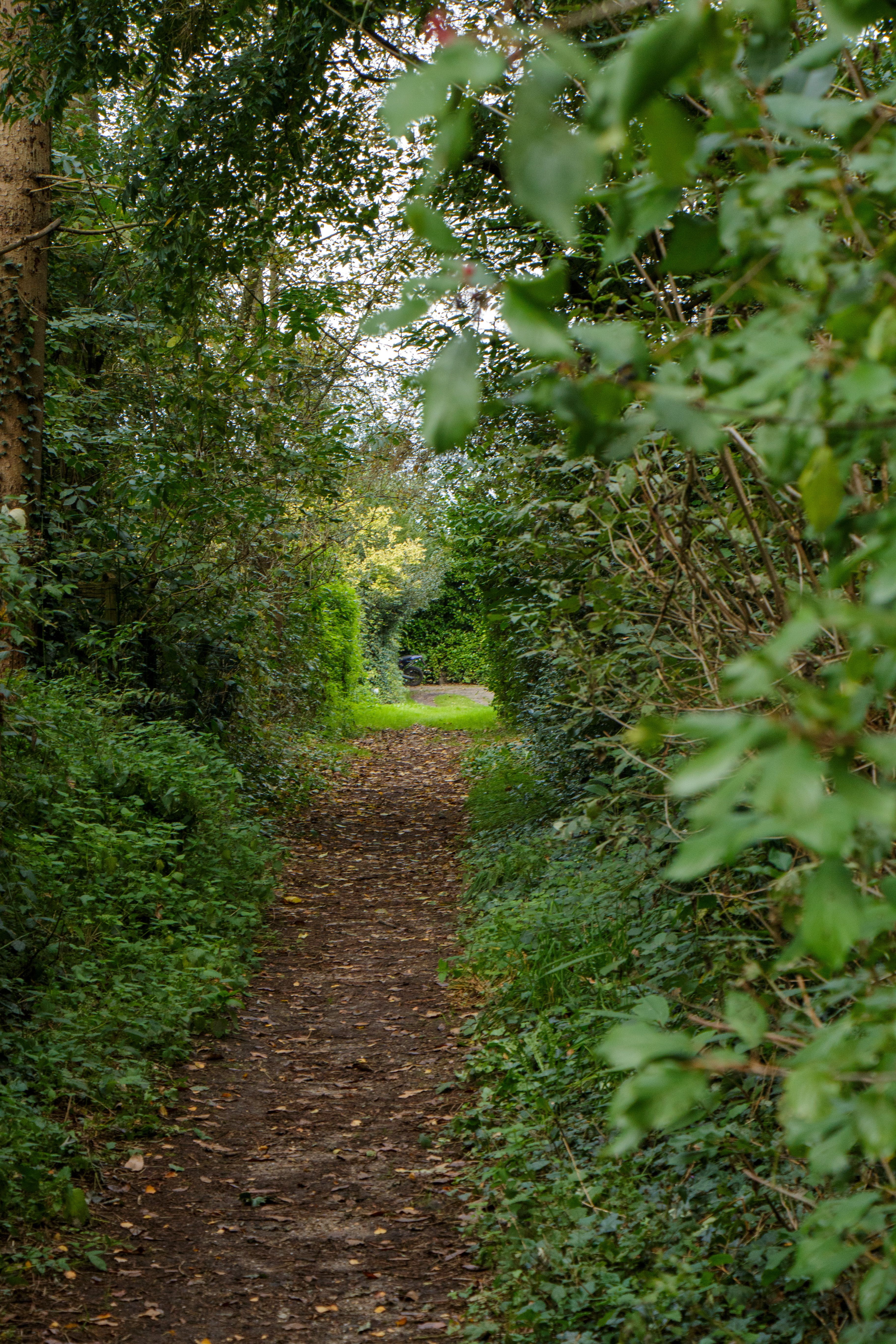 Jaspert Anrijs - Photography