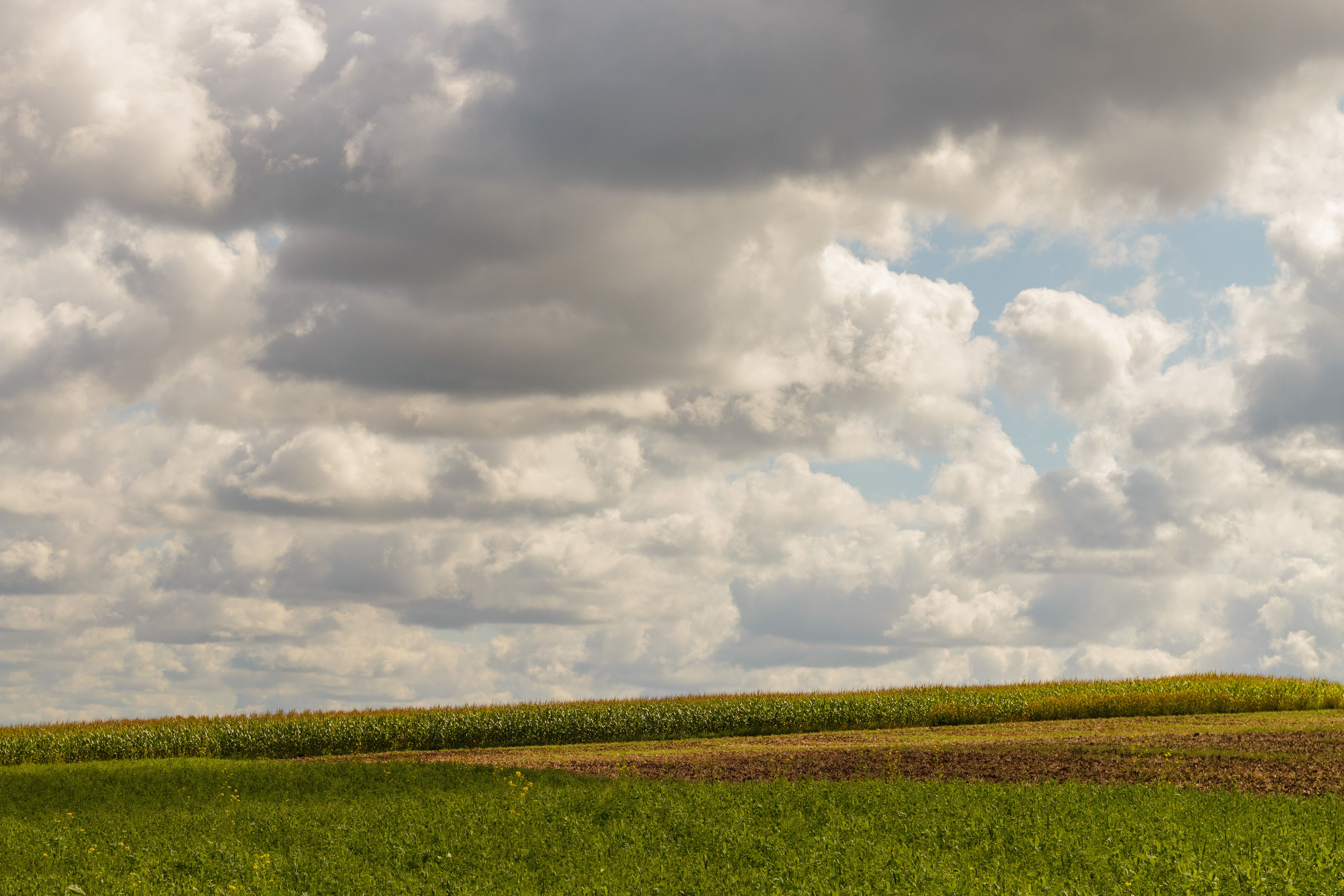 Jaspert Anrijs - Photography