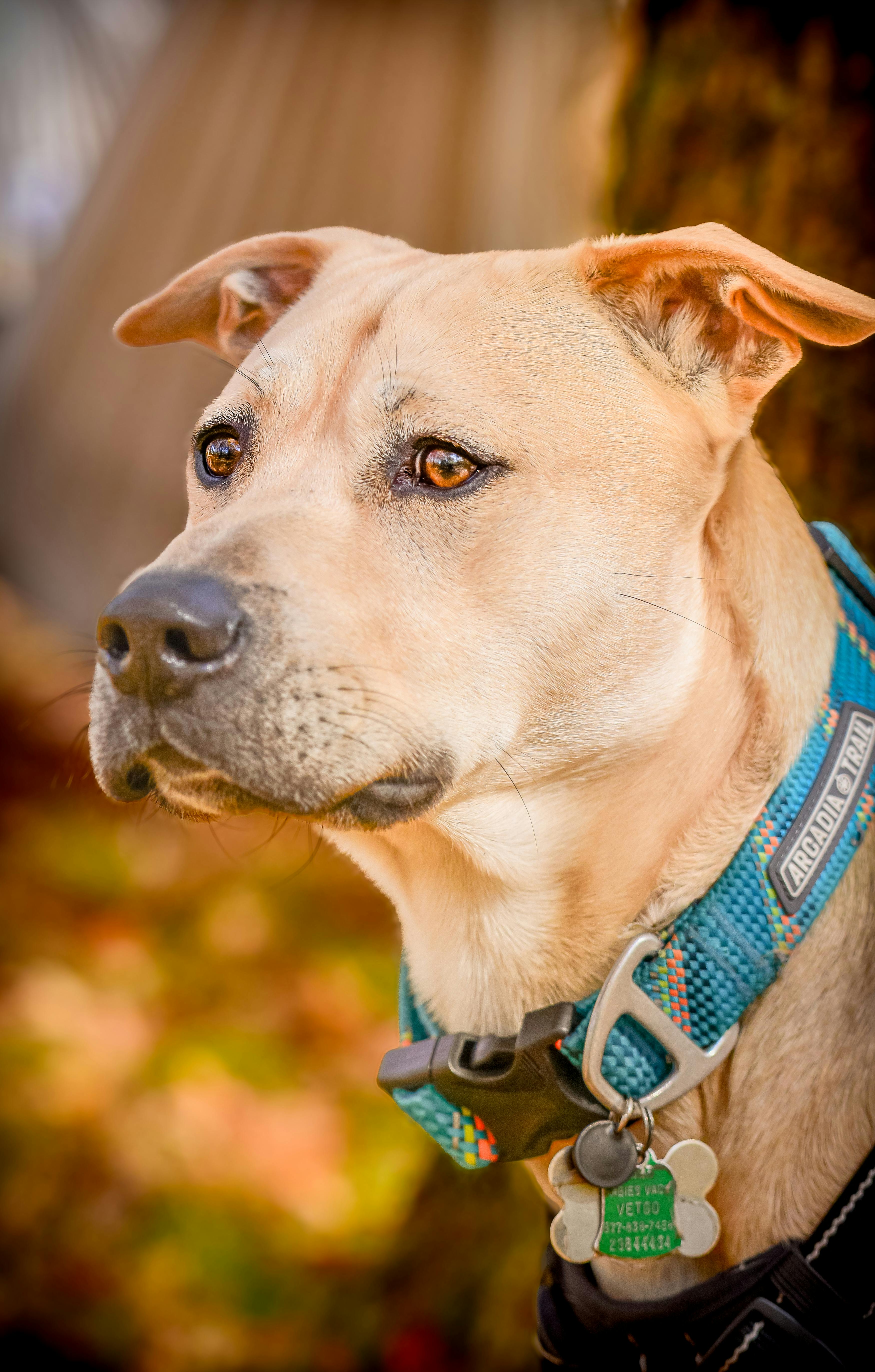 Best Friend Photos, Download The BEST Free Best Friend Stock Photos ...