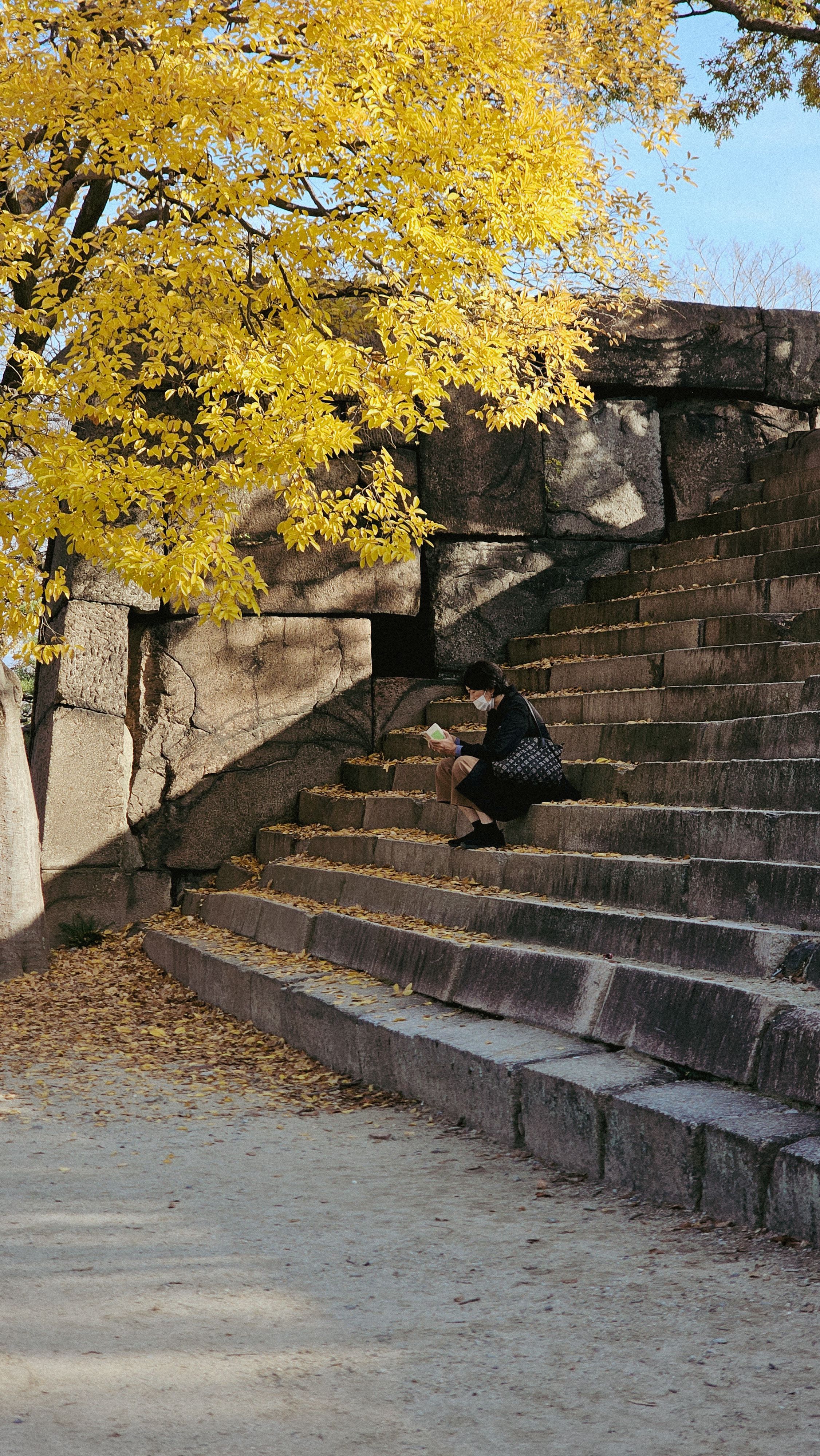 Contemplative Moment on Autumn Stone Steps · Free Stock Photo