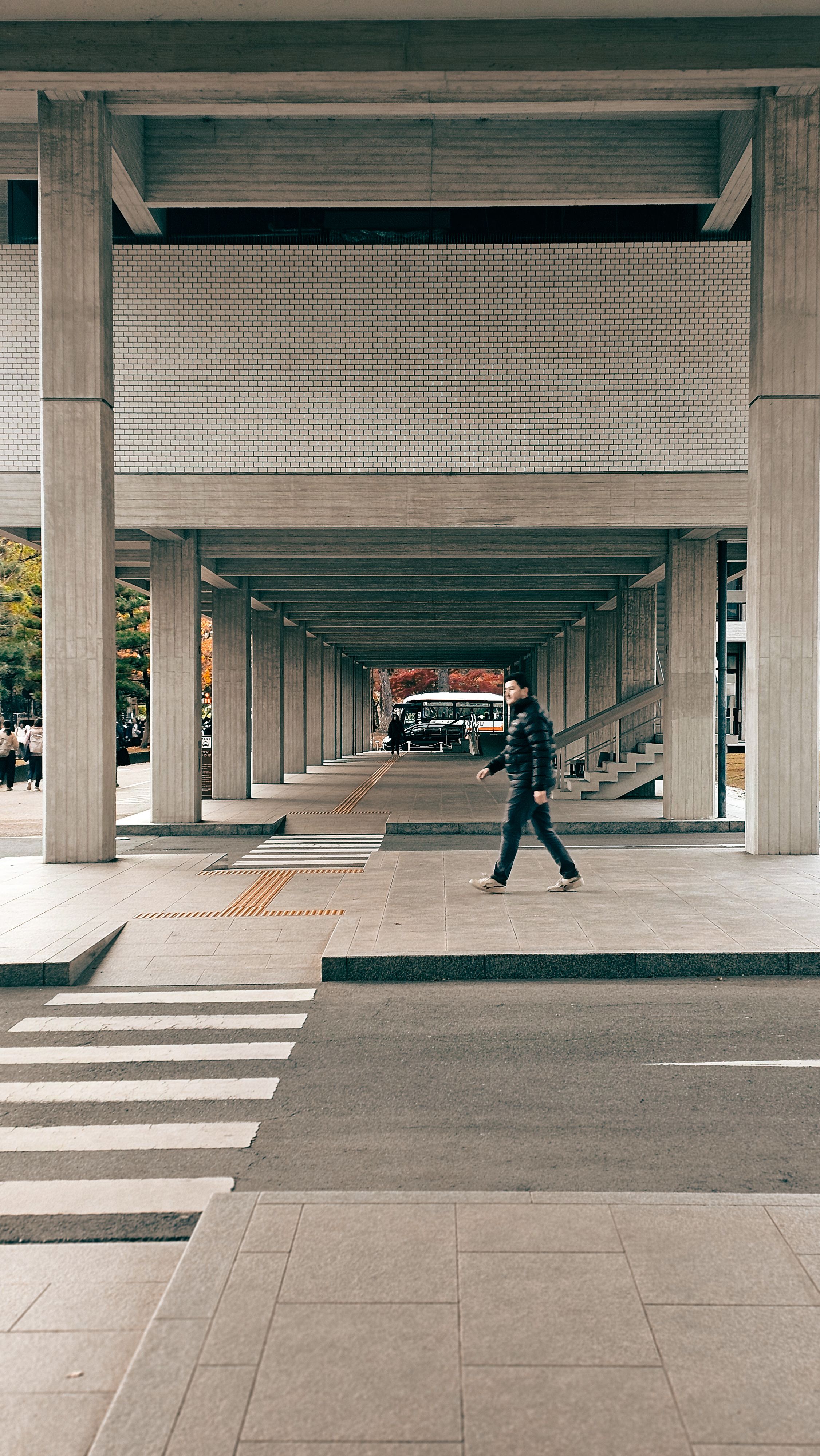 Urban Architecture with Pedestrian Crosswalk · Free Stock Photo