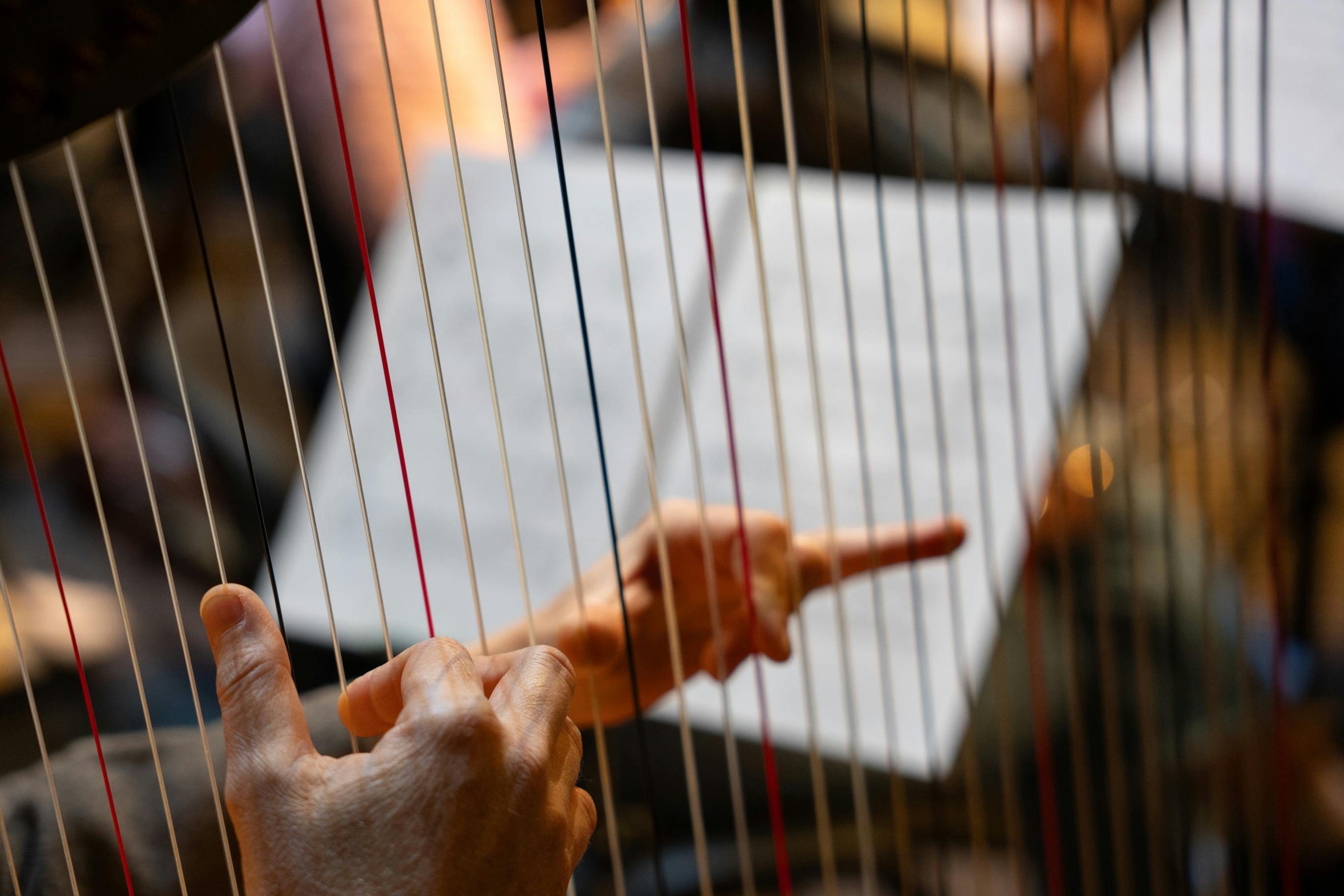 Musical Notes Photos, Download The BEST Free Musical Notes Stock Photos ...