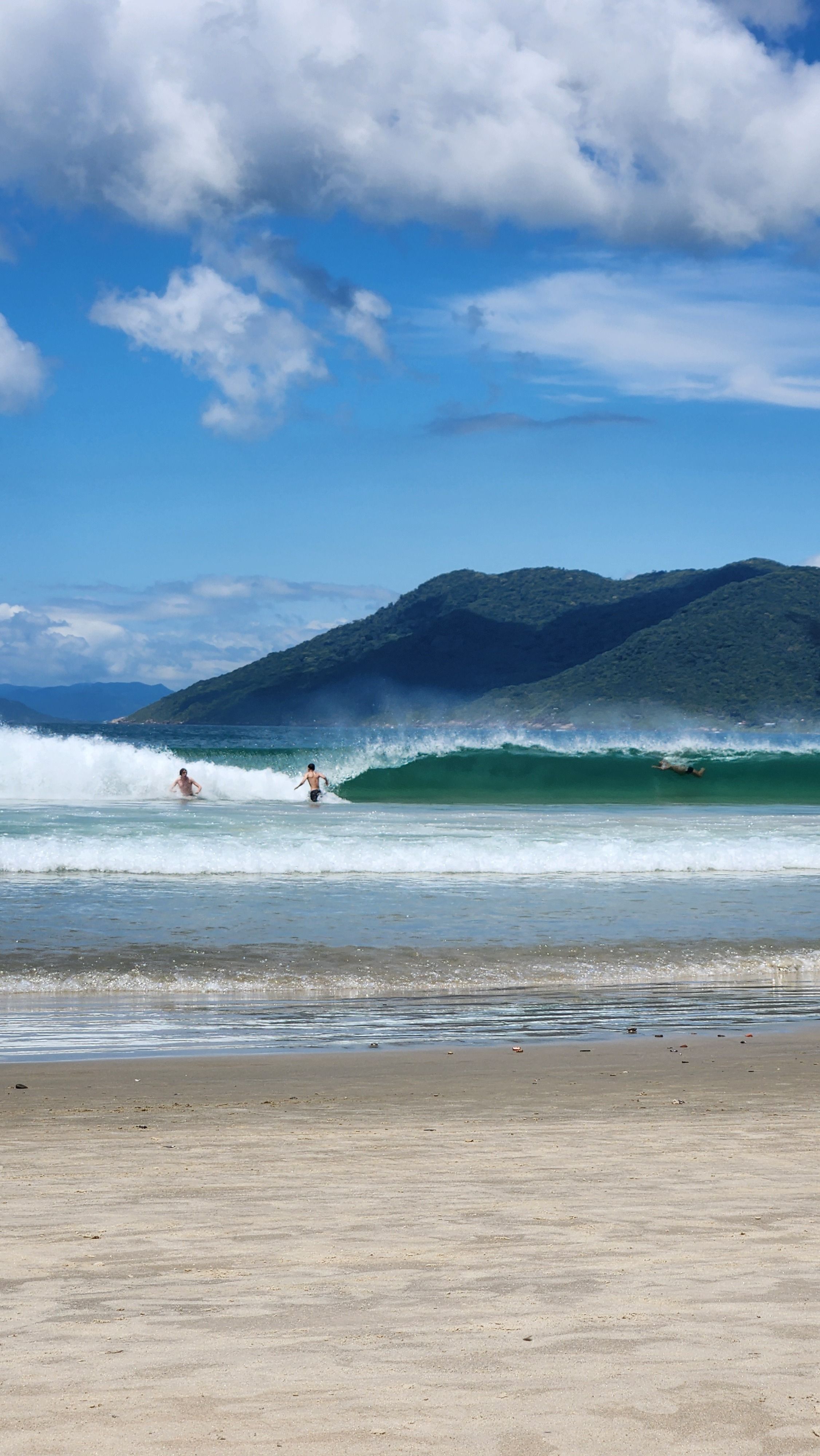 Surfers Riding Waves at Florianópolis Beach · Free Stock Photo