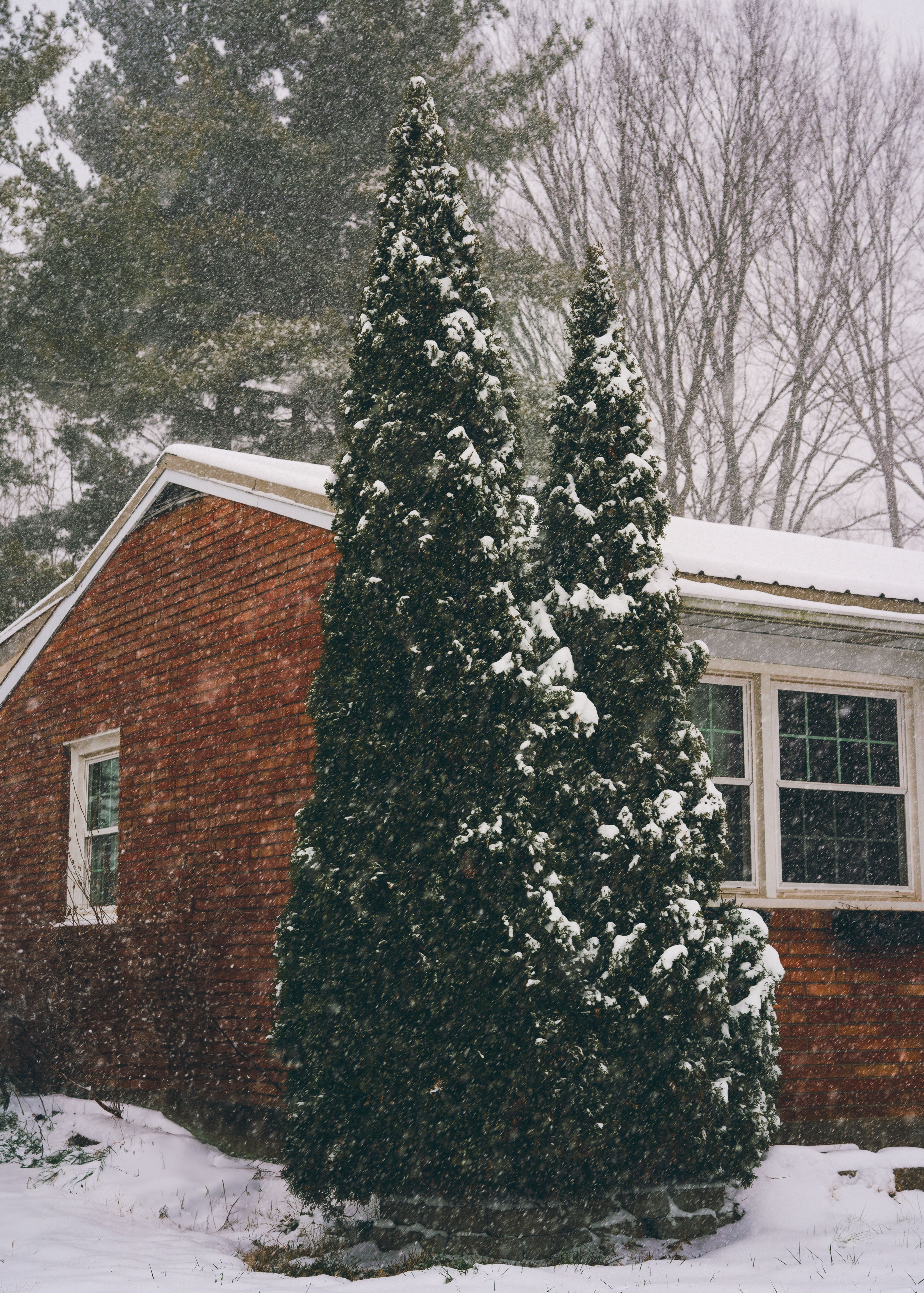 Snowy Winter Scene with Brick House and Trees · Free Stock Photo